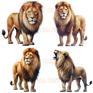 28 Lion Clipart PNG, Watercolor Lion, Printable Watercolor Clipart ...