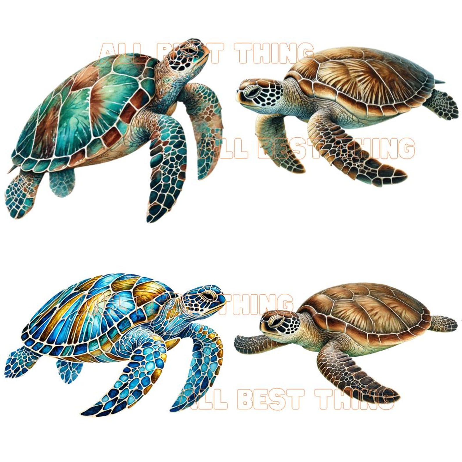 Watercolor Sea Turtle Clipart Set: Marine Life PNG Images (digital ...