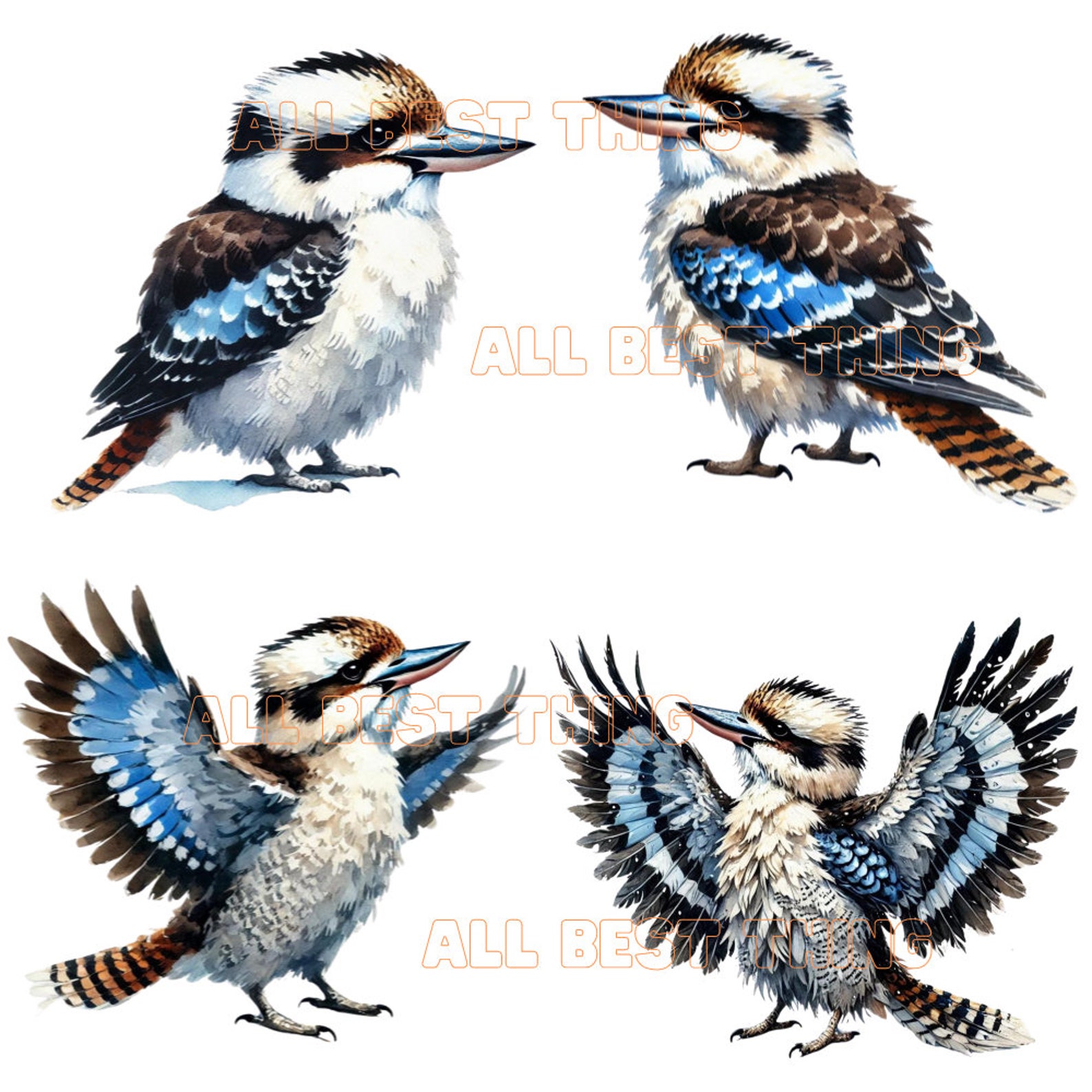 28 Kookaburra Bird Clipart PNG, Adorable Kookaburra Clipart Bundle ...