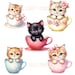 30 Cute Cat in Cup Kittens Cat Clipart, Cute Kittens With Actions, Cute ...