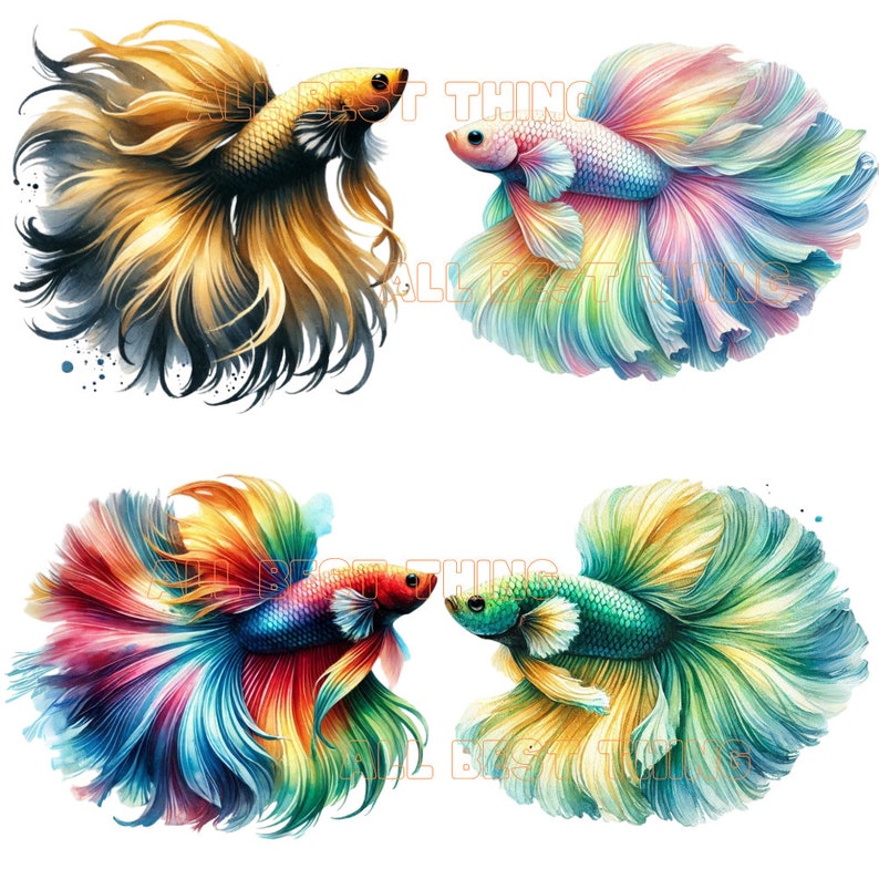 32 Watercolor Betta Fish PNG Clipart, Classics, Antique, Printable ...