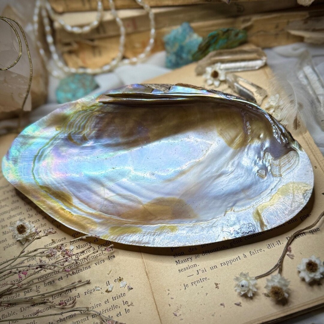 Vintage Japanese Hand-picked High Shine Iridescent Completely Polished ...