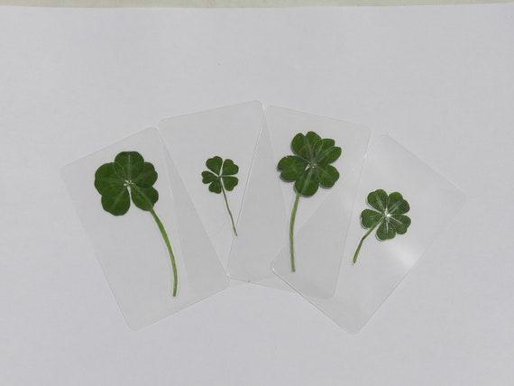 Five-Leaf Clover Genuine Hand Picked and Laminated Wallet | Etsy