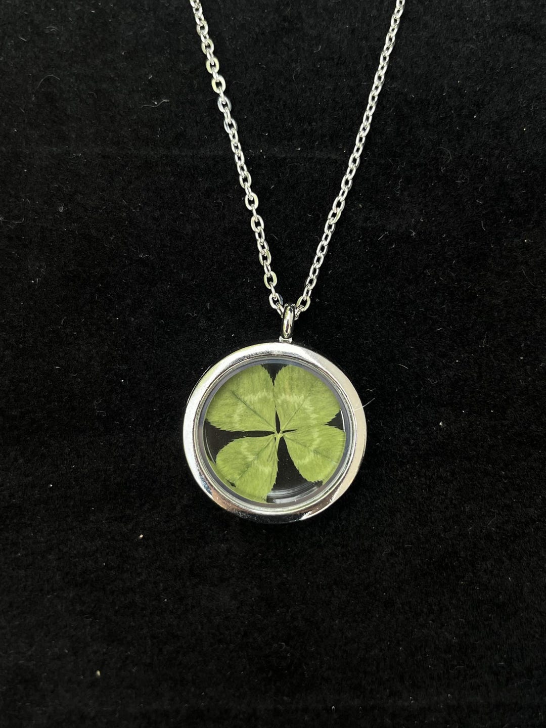 Real Four Leaf Clover Locket: Handpicked Lucky Charm for Celebrations ...