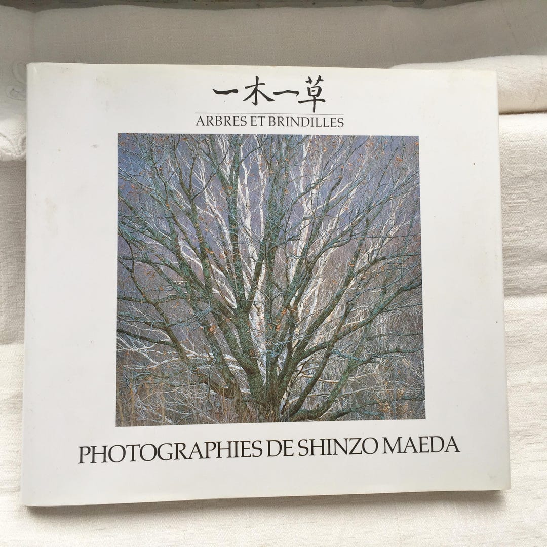 Vintage French Shinzo Maeda Photograph Book, Japanese Photographer ...
