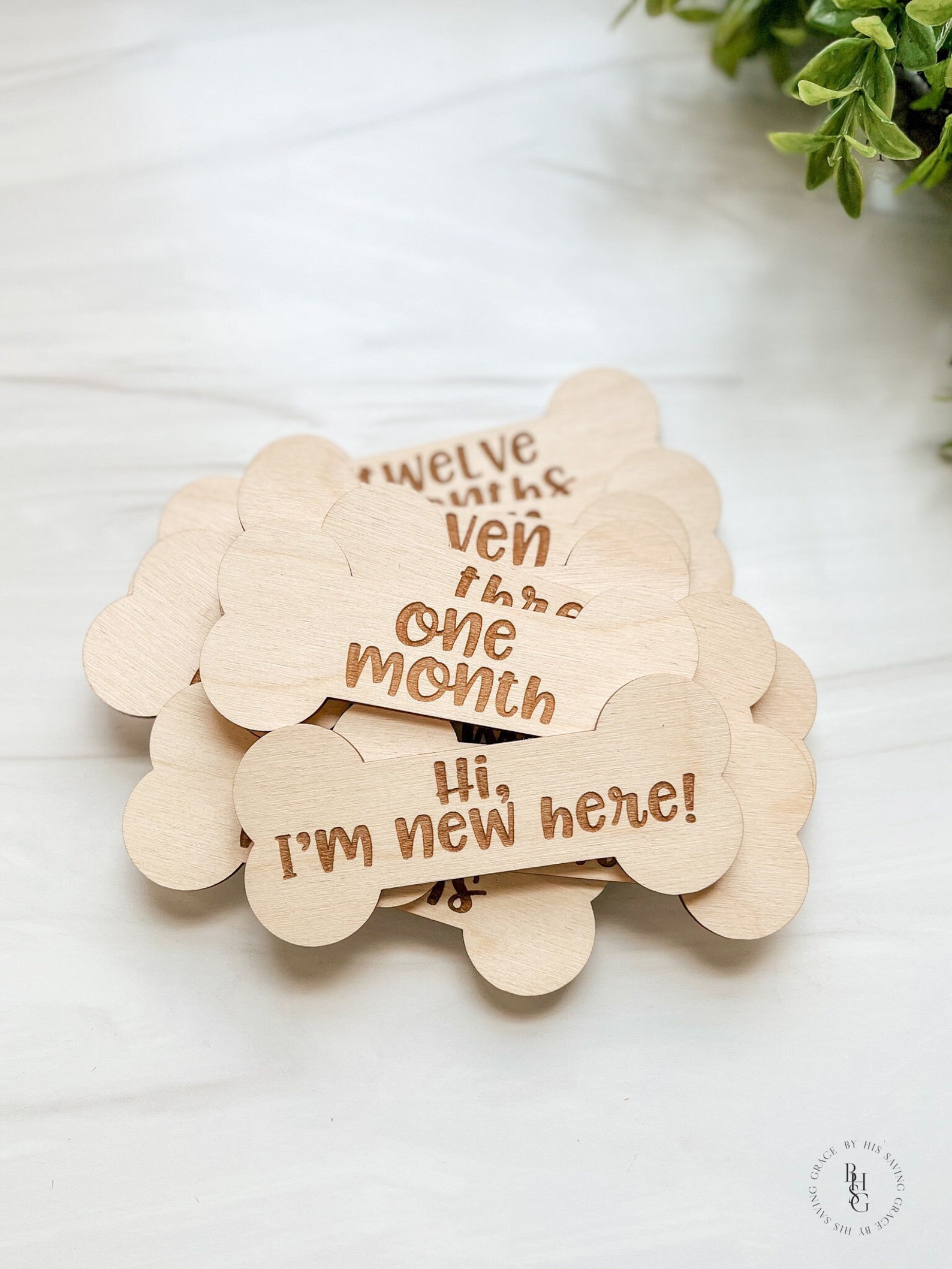 Monthly Milestone Marker for Dogs | Laser Engraved | New Puppy ...