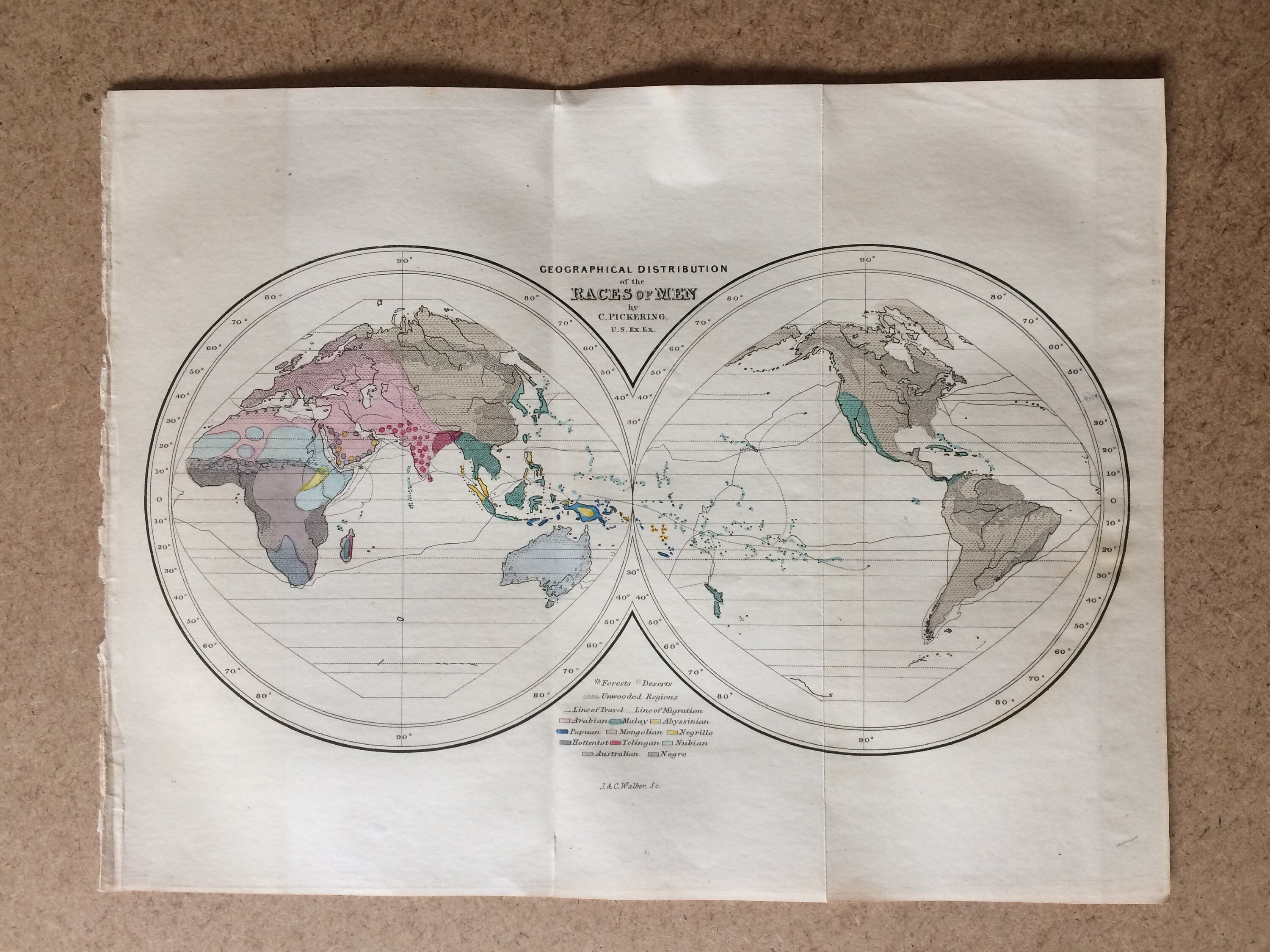 1854 Geographical Distribution of the Races of Men Original Antique ...
