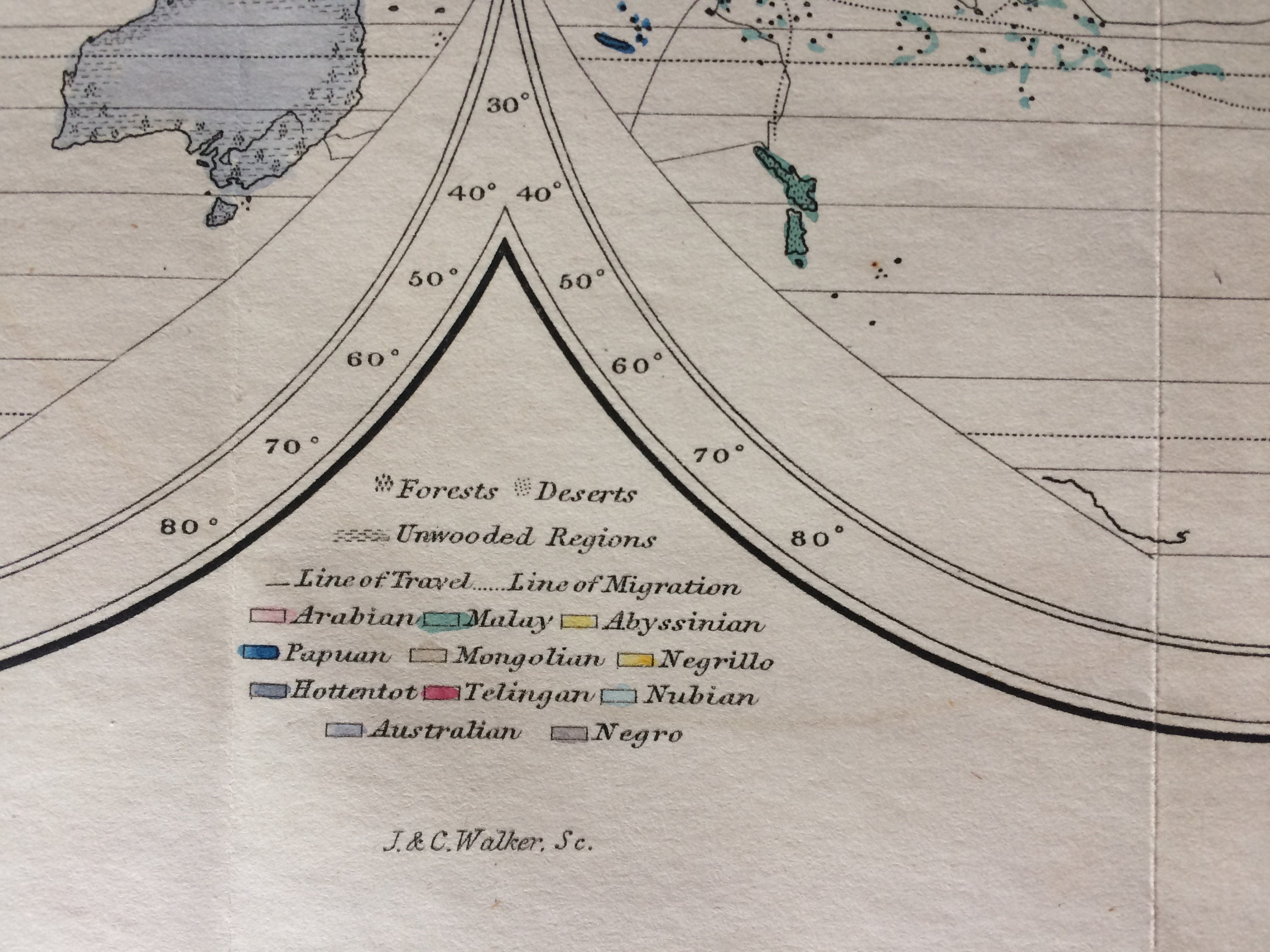 1854 Geographical Distribution of the Races of Men Original Antique ...