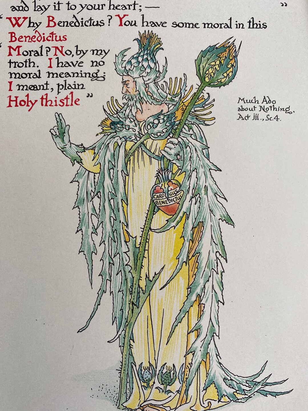 1906 Carduus Benedictus - Holy Thistle - Flowers From Shakespeare's ...