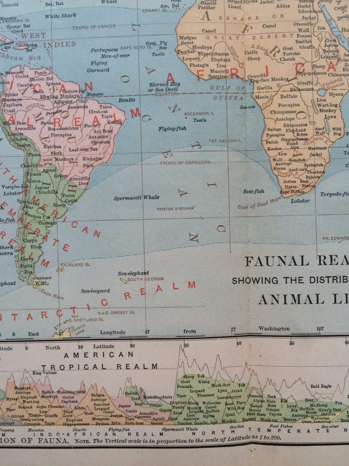 1887 FAUNAL REALMS Original Antique World Map, 11.75 x 18 inches ...