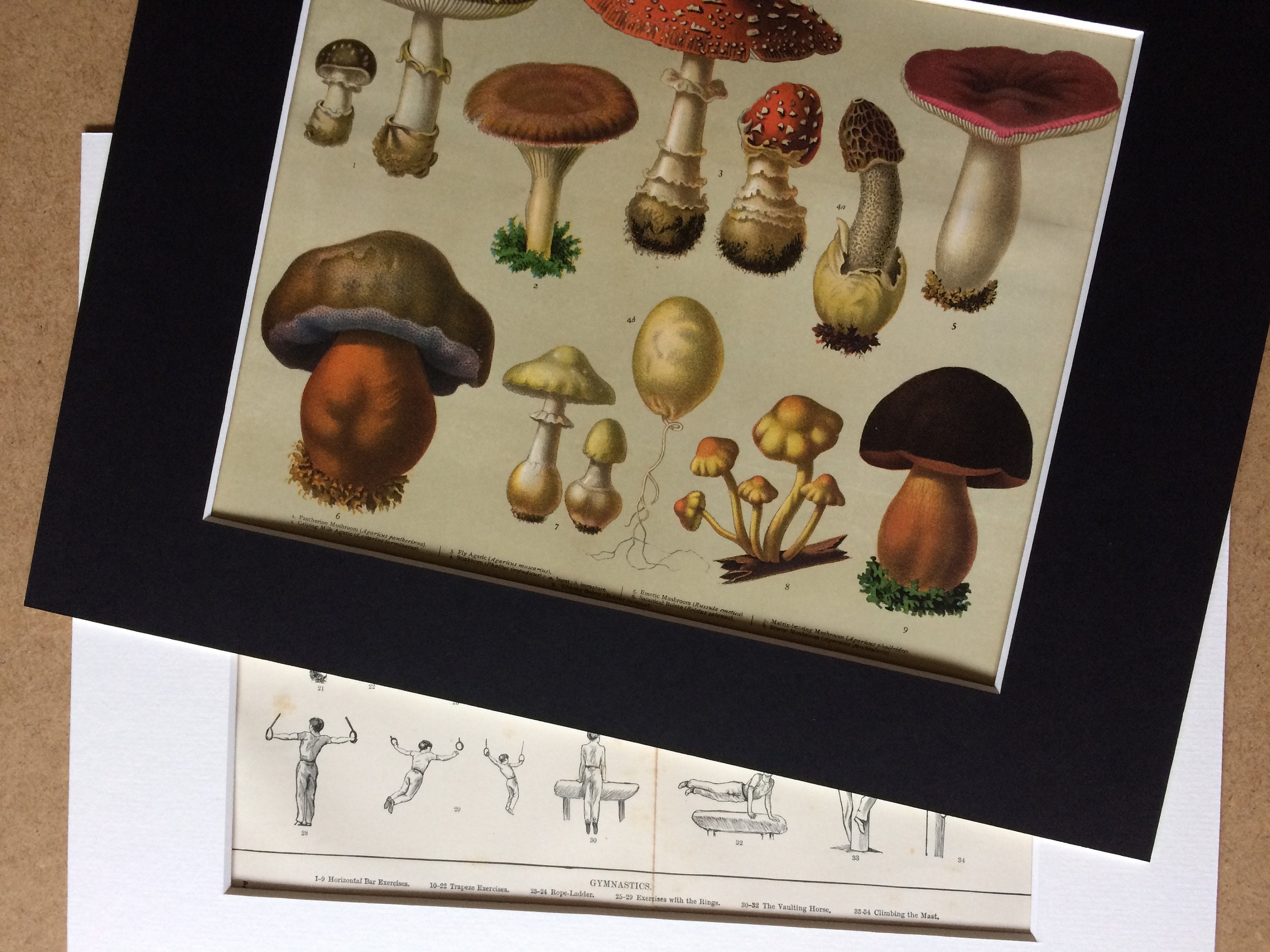 1894 Indian Picture Writing Original Antique Lithograph - Mounted and ...