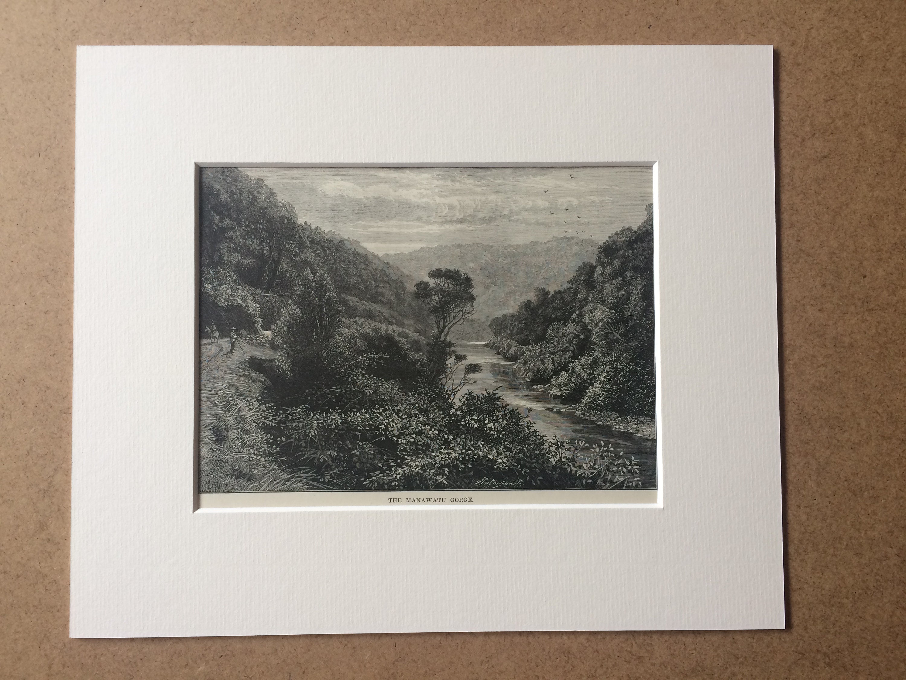 1890 Manawatu Gorge Original Antique Engraved Illustration - New ...