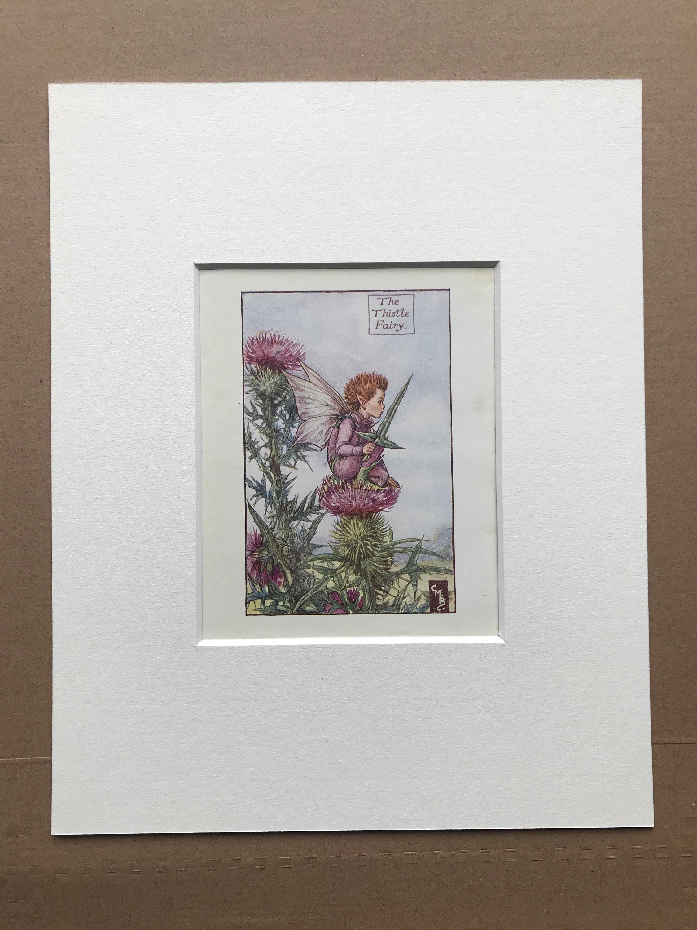 1936 The Thistle Fairy Original Vintage Print - Flower Fairy - Cicely ...