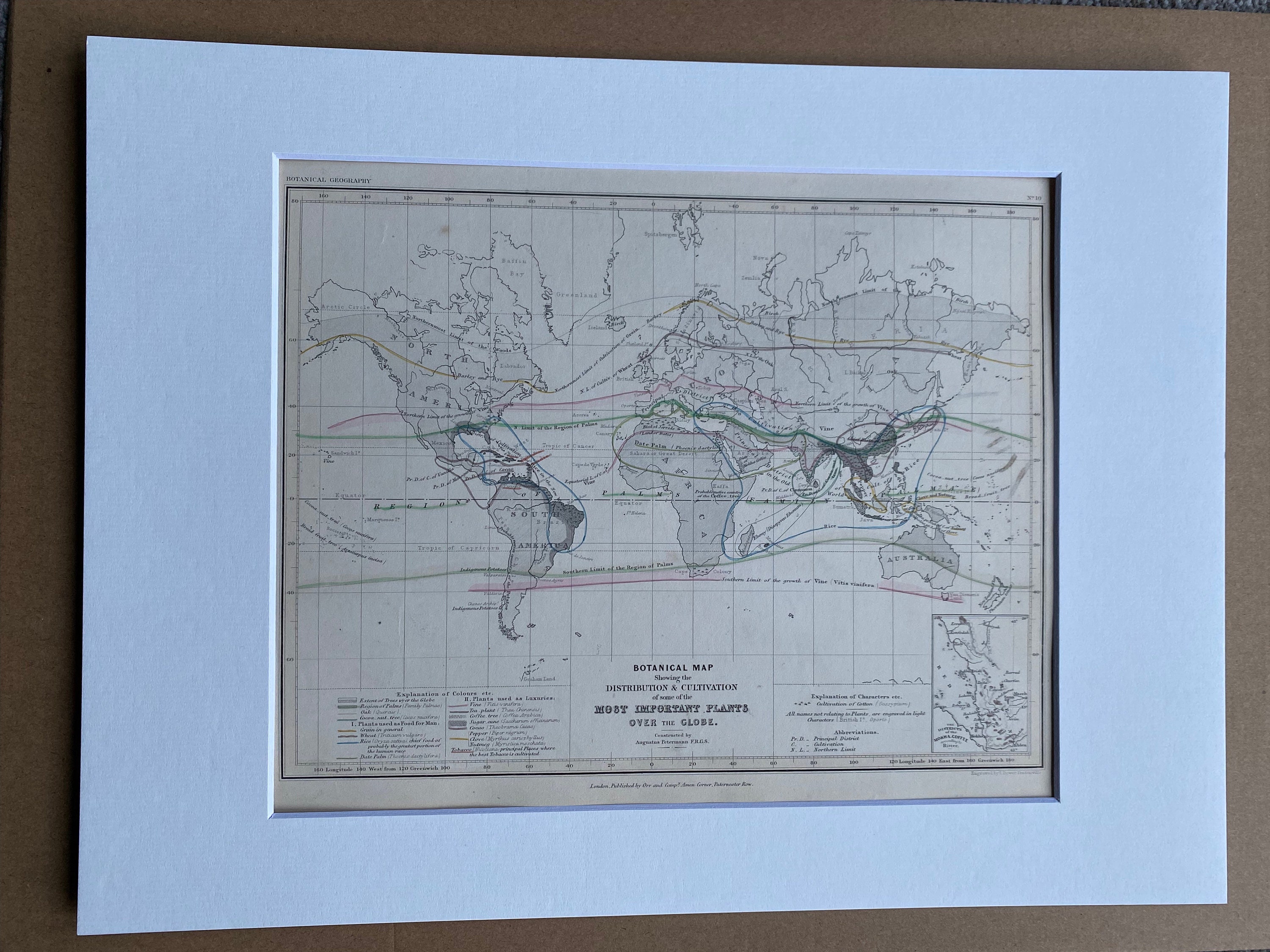 1853 Botanical Map showing the Distribution and Cultivation of some of ...