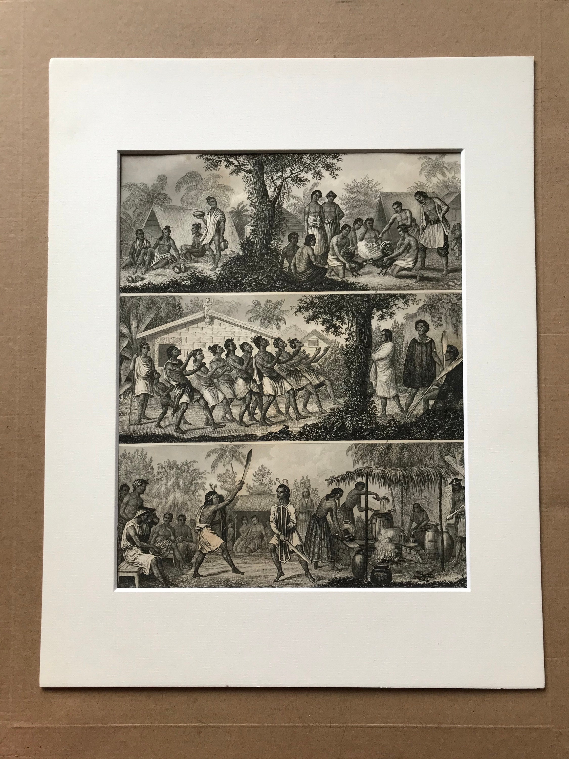 1849 Oceanic People Large Original Antique Engraving Races - Etsy UK