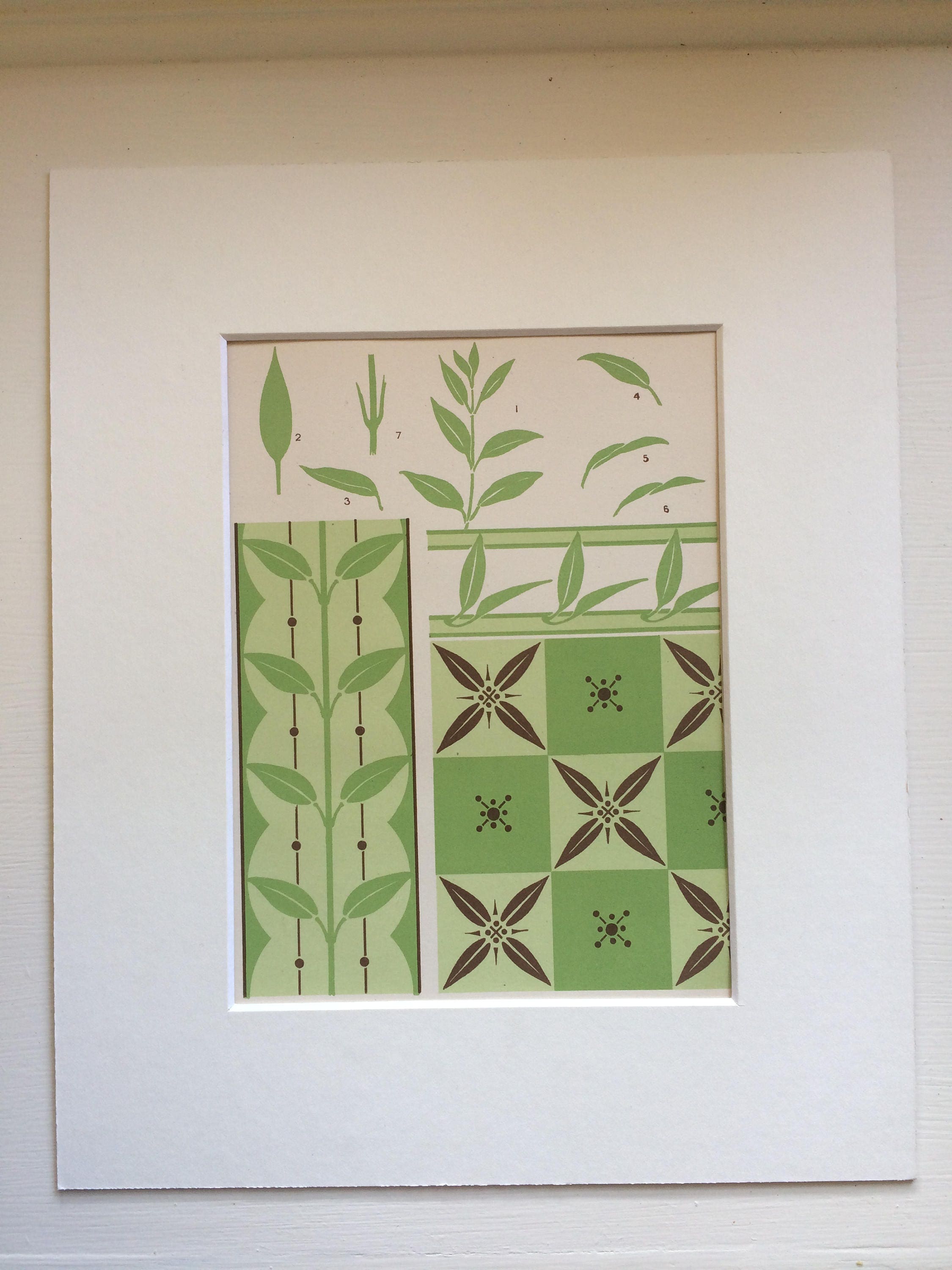 1903 Nature Forms in Design Original Antique Matted Lithograph - Wall ...