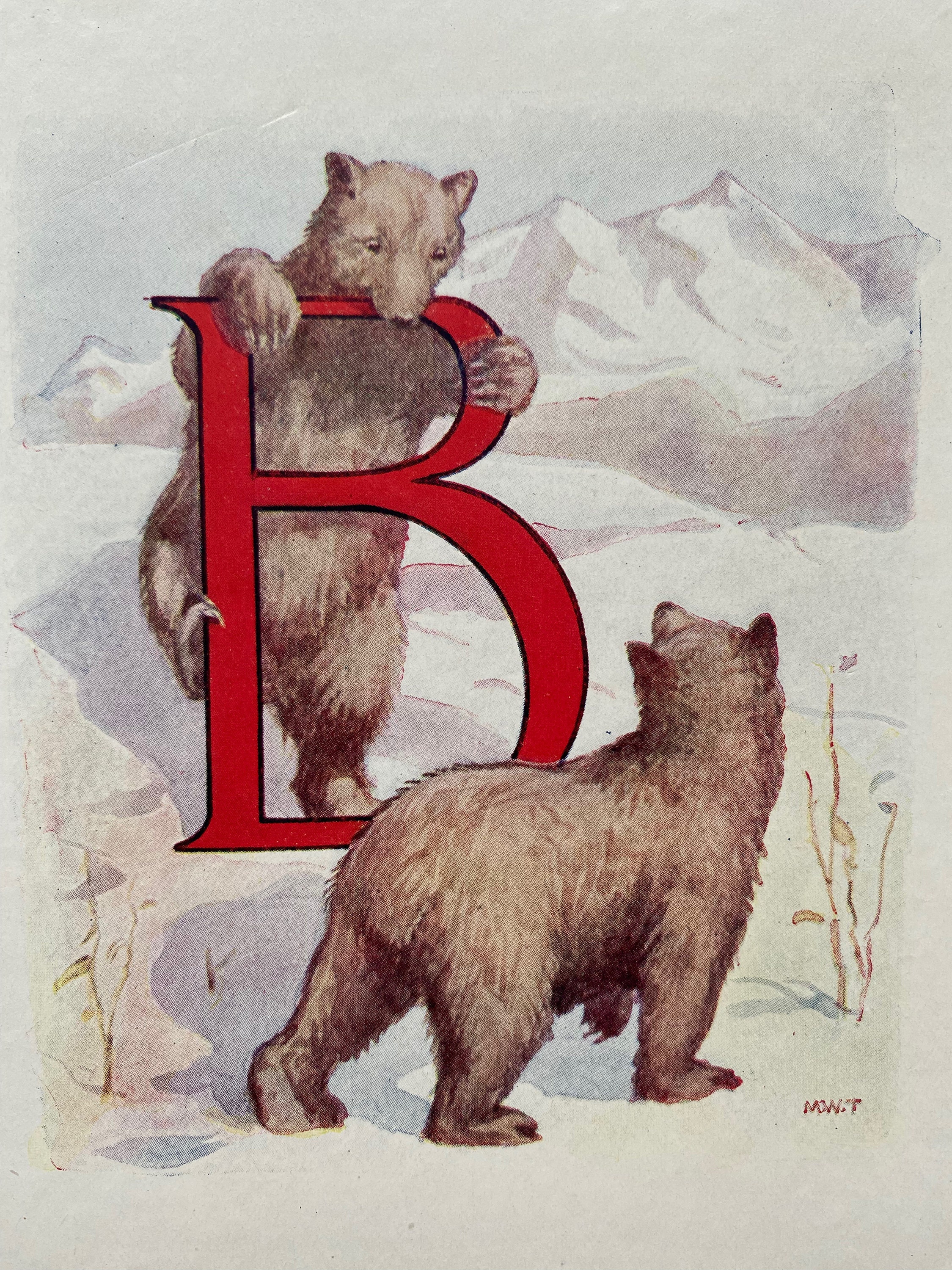 1920 Alphabet Letter B Bear Original Vintage Margaret Tarrant ...