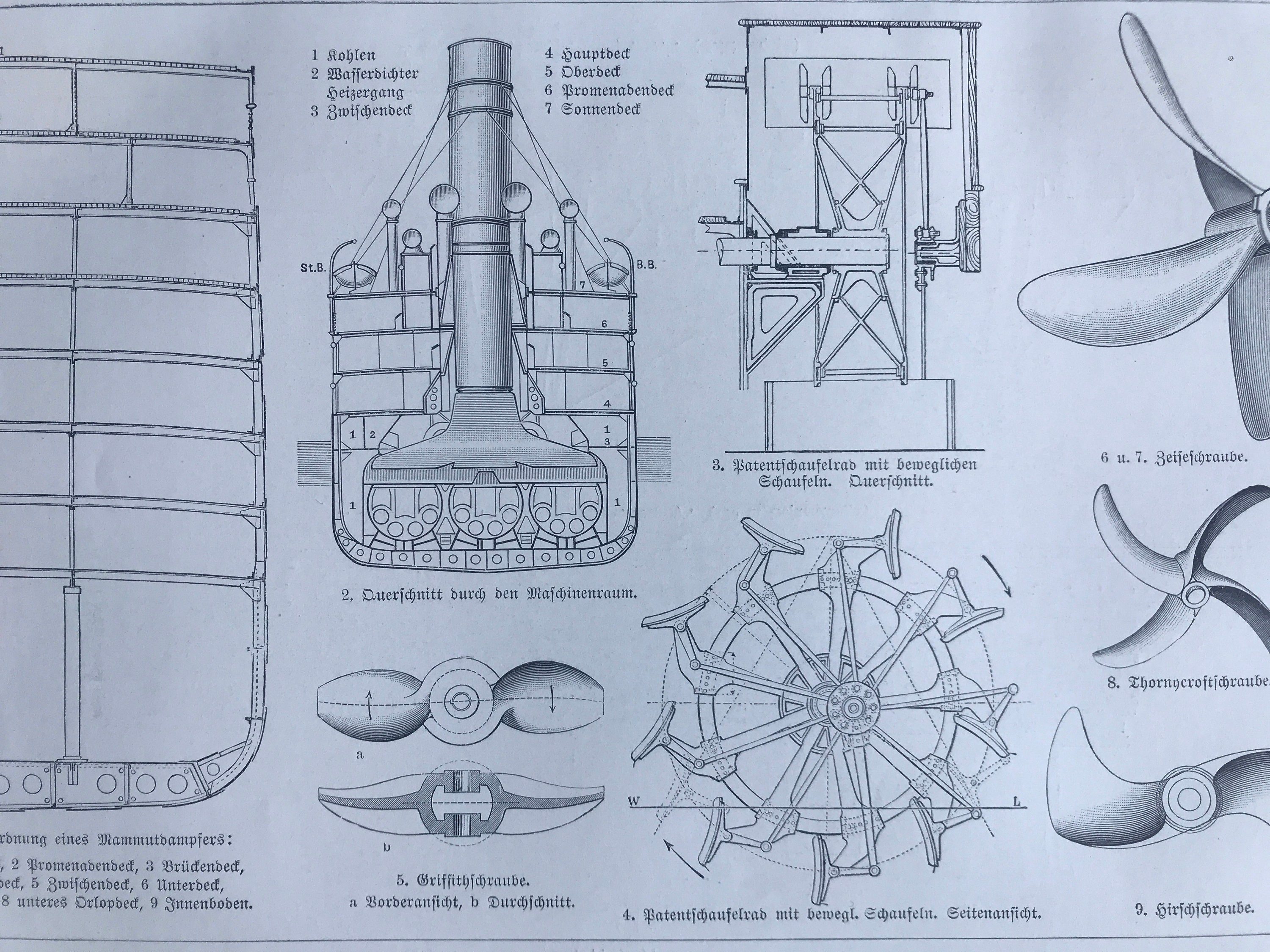 Steamships Diagram