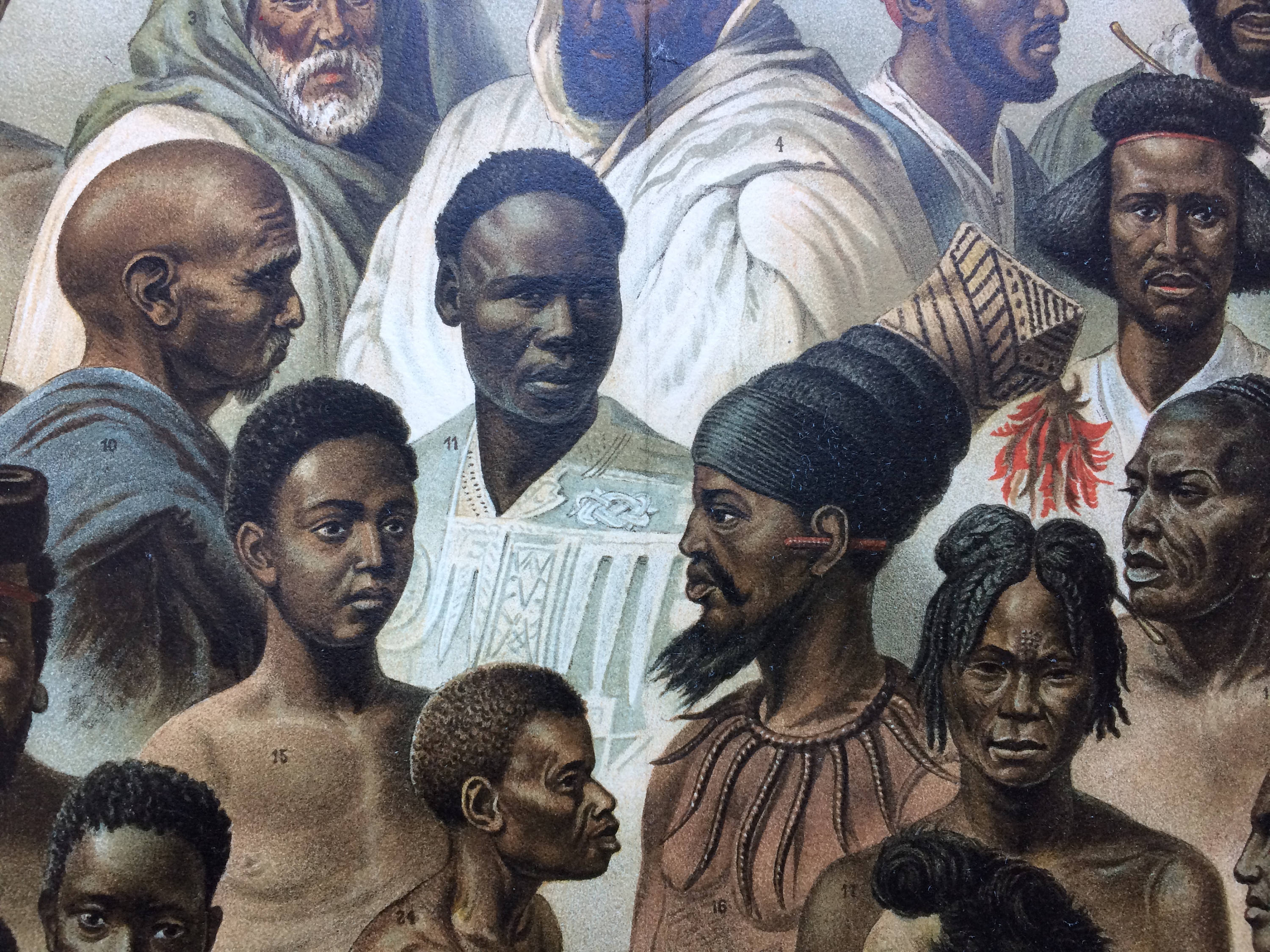 1904 African Races original antique print - 10 x 12 inches ...