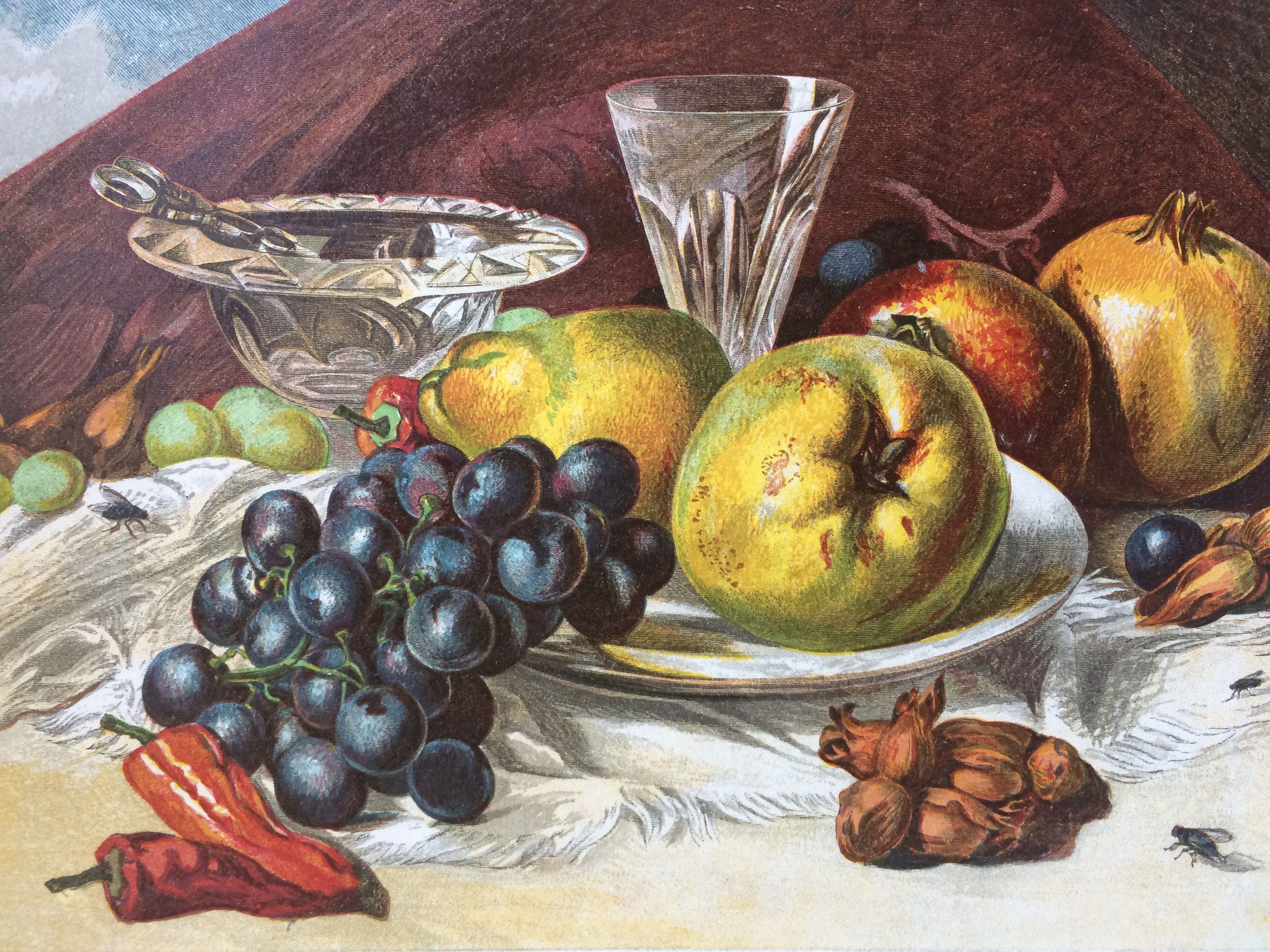 1859 Original Antique Lithograph - Fruit Still Life - Vivid Colours ...