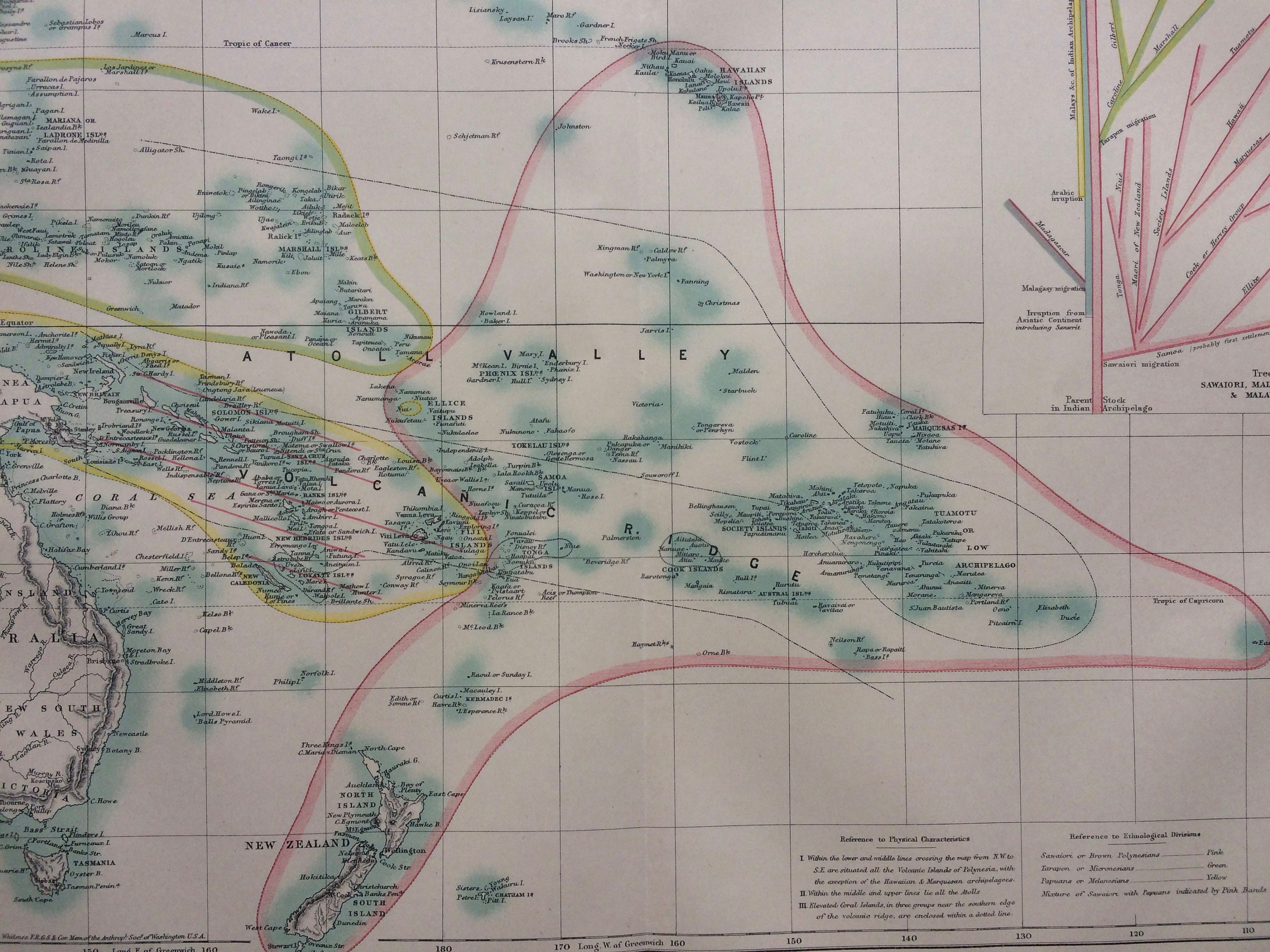 1875 POLYNESIA large original antique map with tree of Sawaiori ...