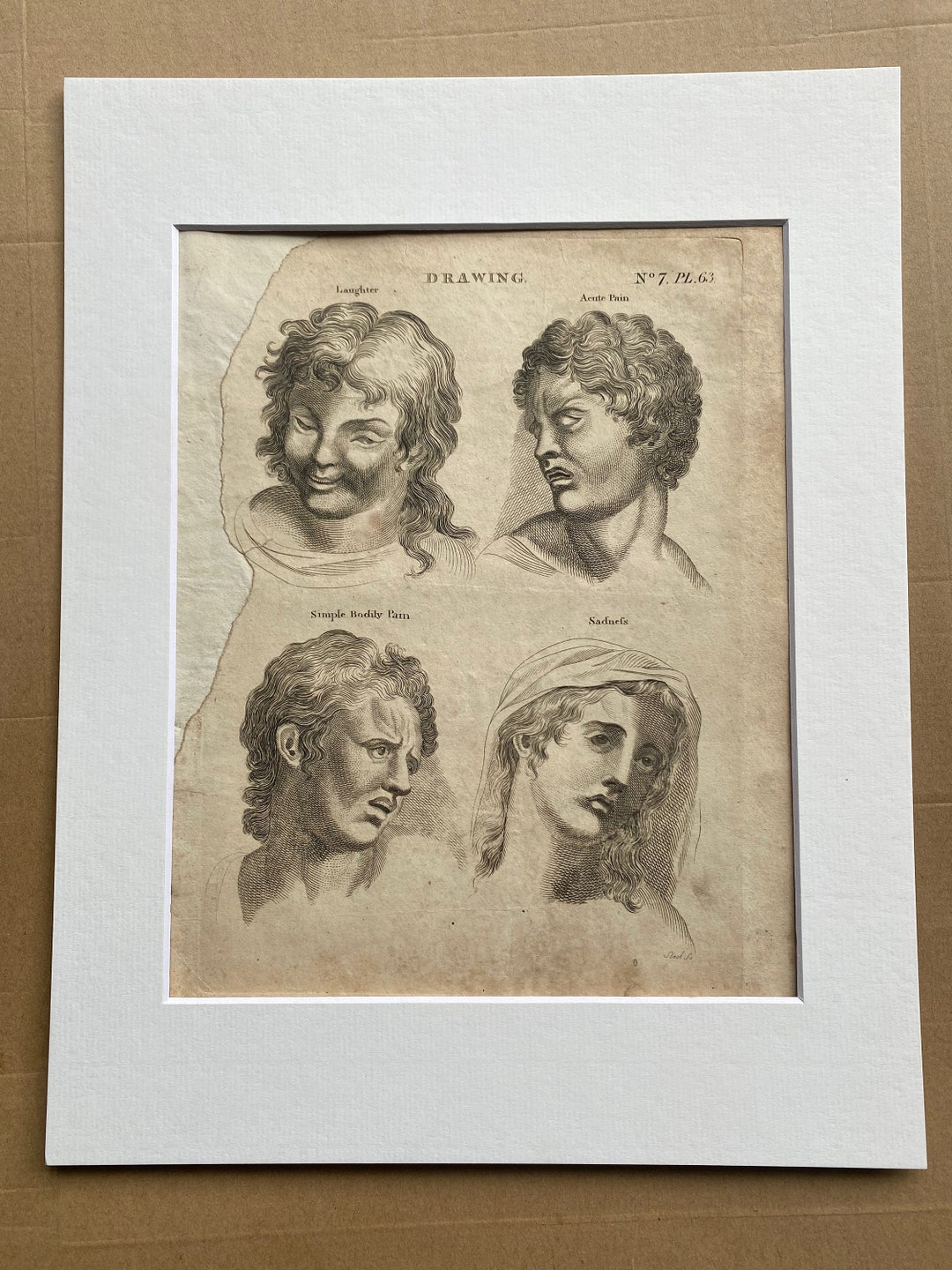 1806 Drawing (facial Expressions) Original Antique Engraving - Gift for ...