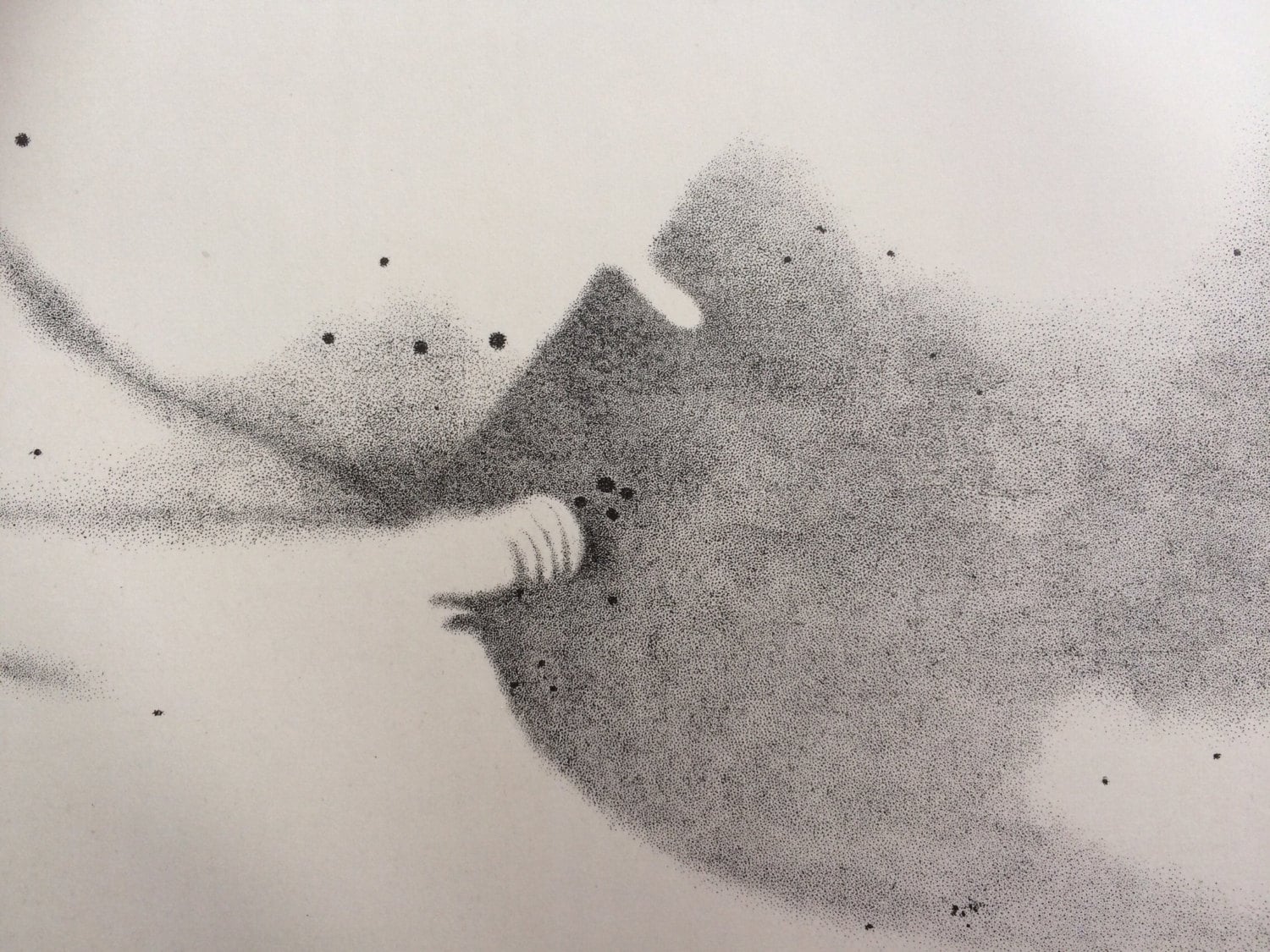 1875 Astronomy Original Antique Steel Engraving Print - Nebula in the ...