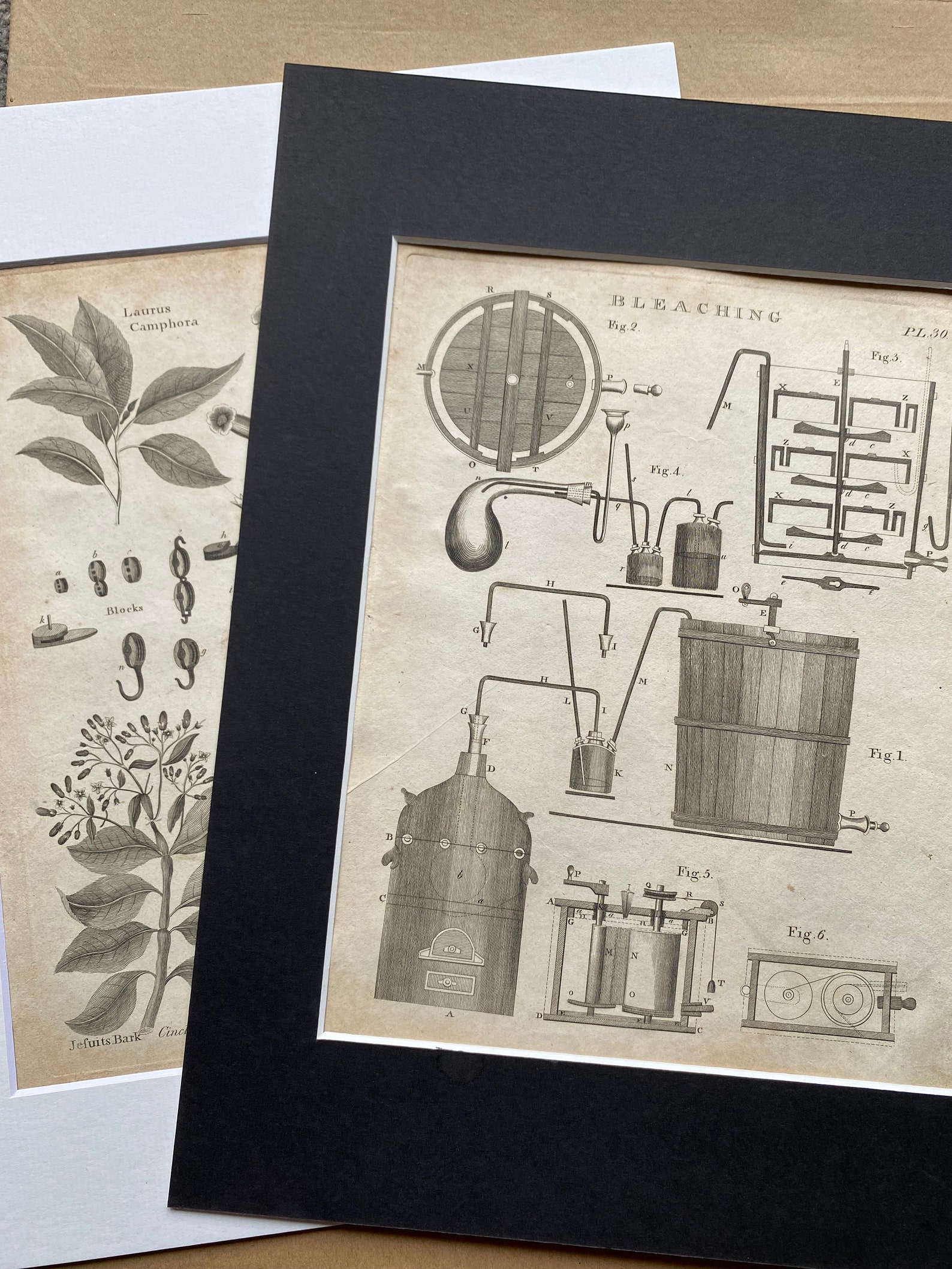 1806 Drawing (facial Expressions) Original Antique Engraving - Gift for ...