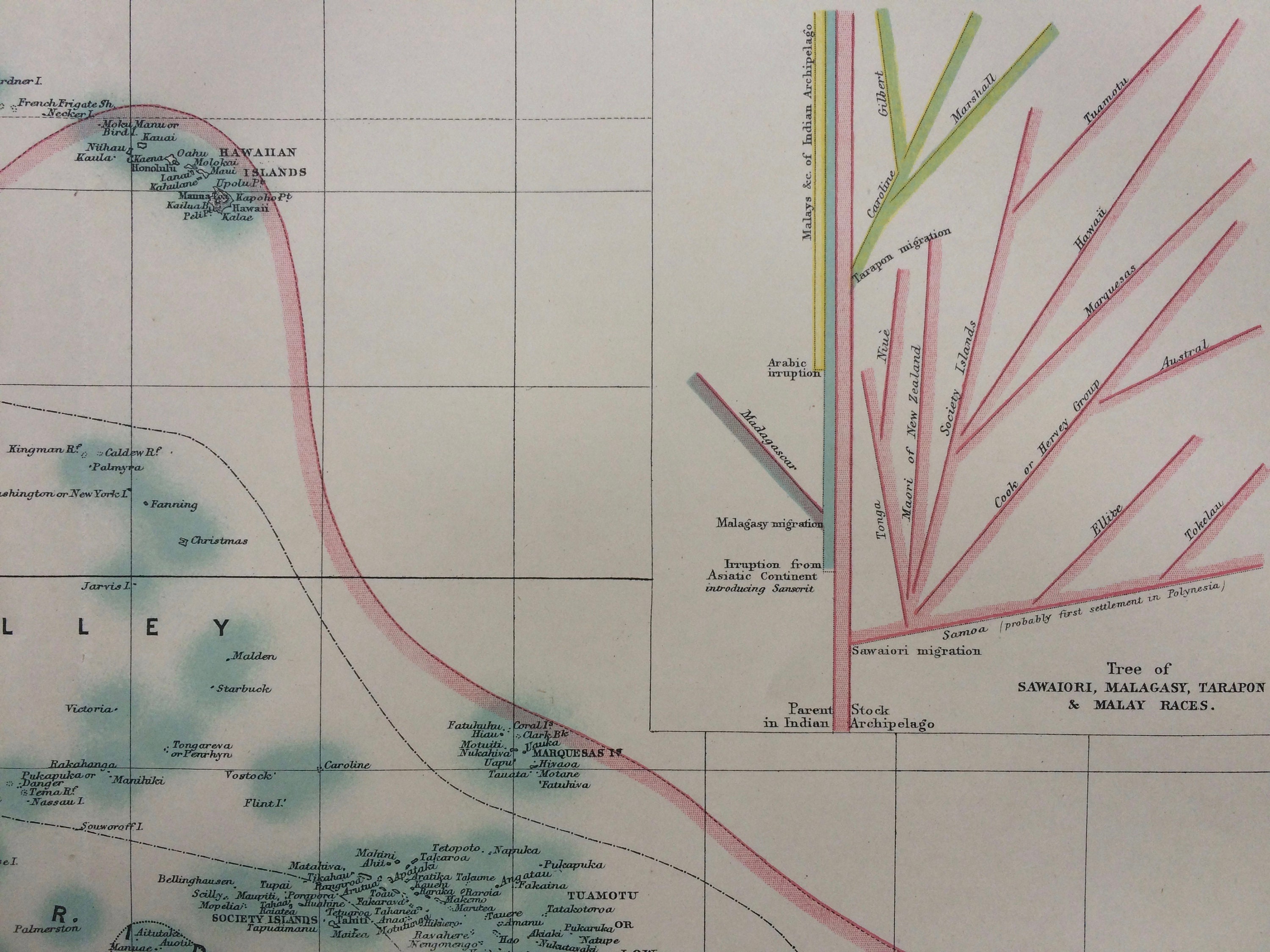 1875 POLYNESIA large original antique map with tree of Sawaiori ...