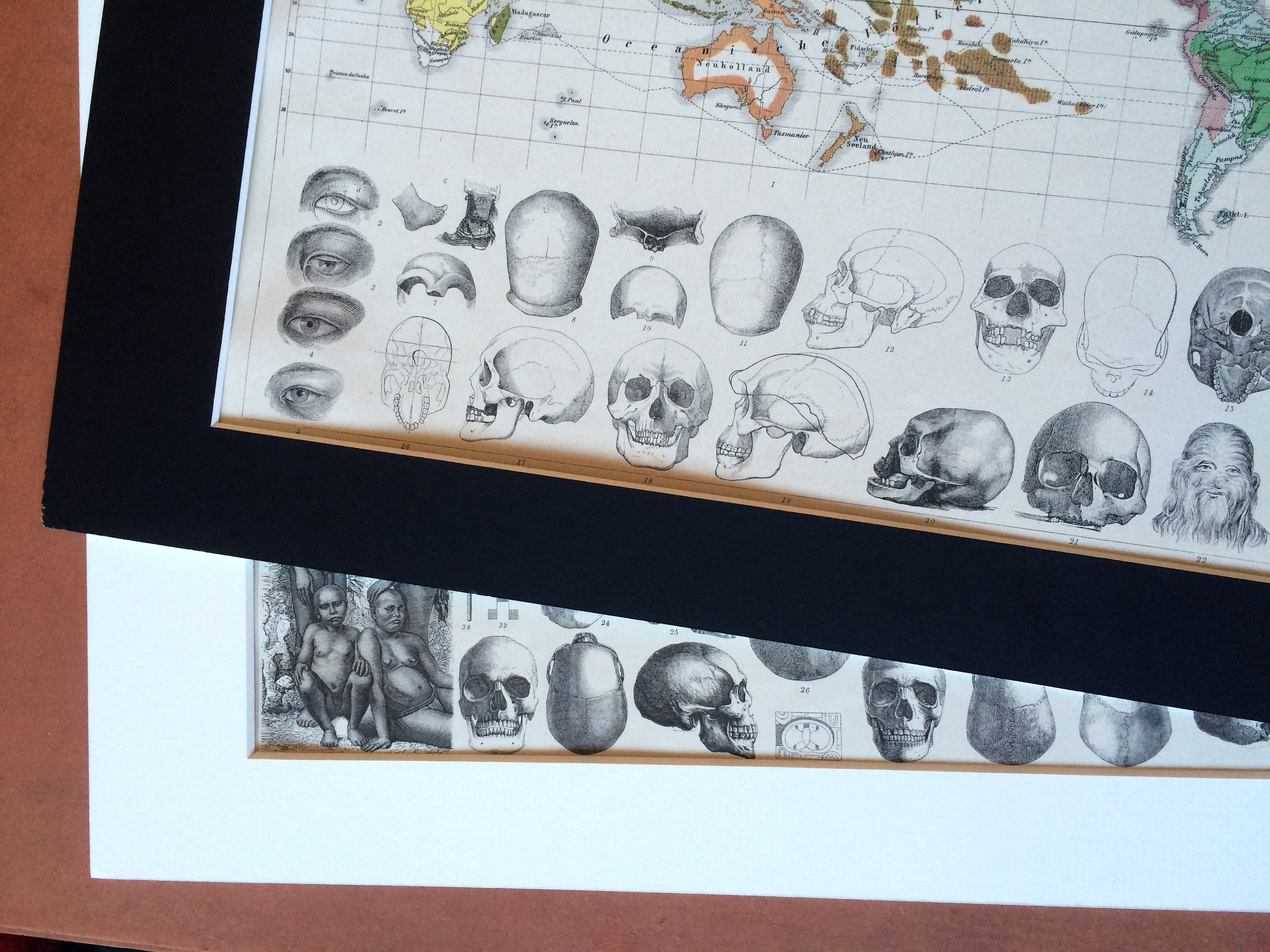 Darfur Basuto Warrior Peoples 1870 African Tribes Ethnography Art and ...