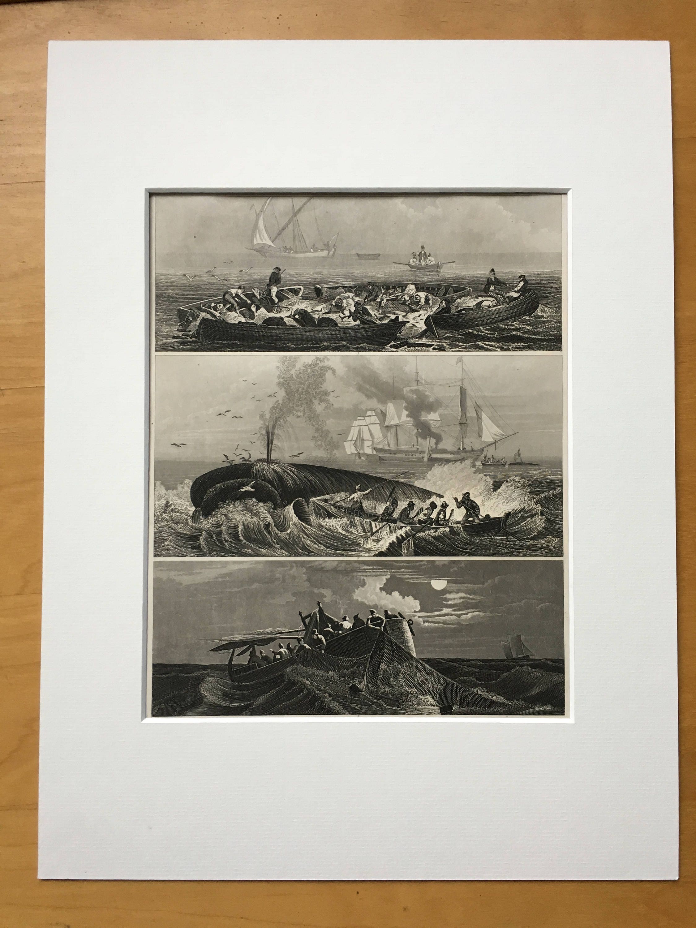 1849 Fishing Large Original Antique Engraving - Mounted and Matted - 12 ...