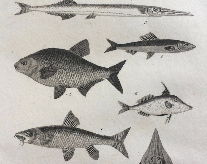 This item is unavailable - Etsy