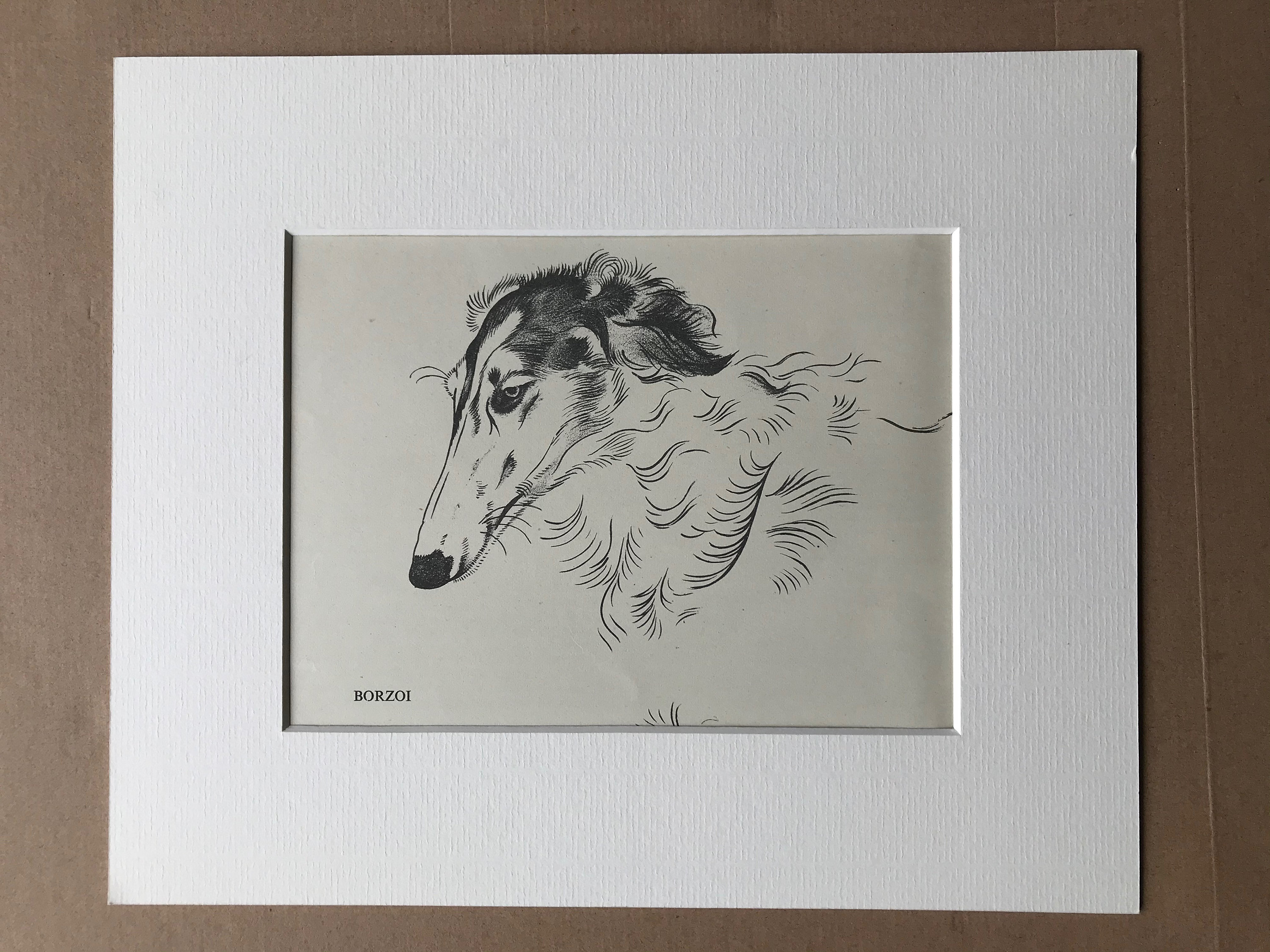 1950 Borzoi Original Vintage Illustration - Maurice Wilson - Animal Art ...