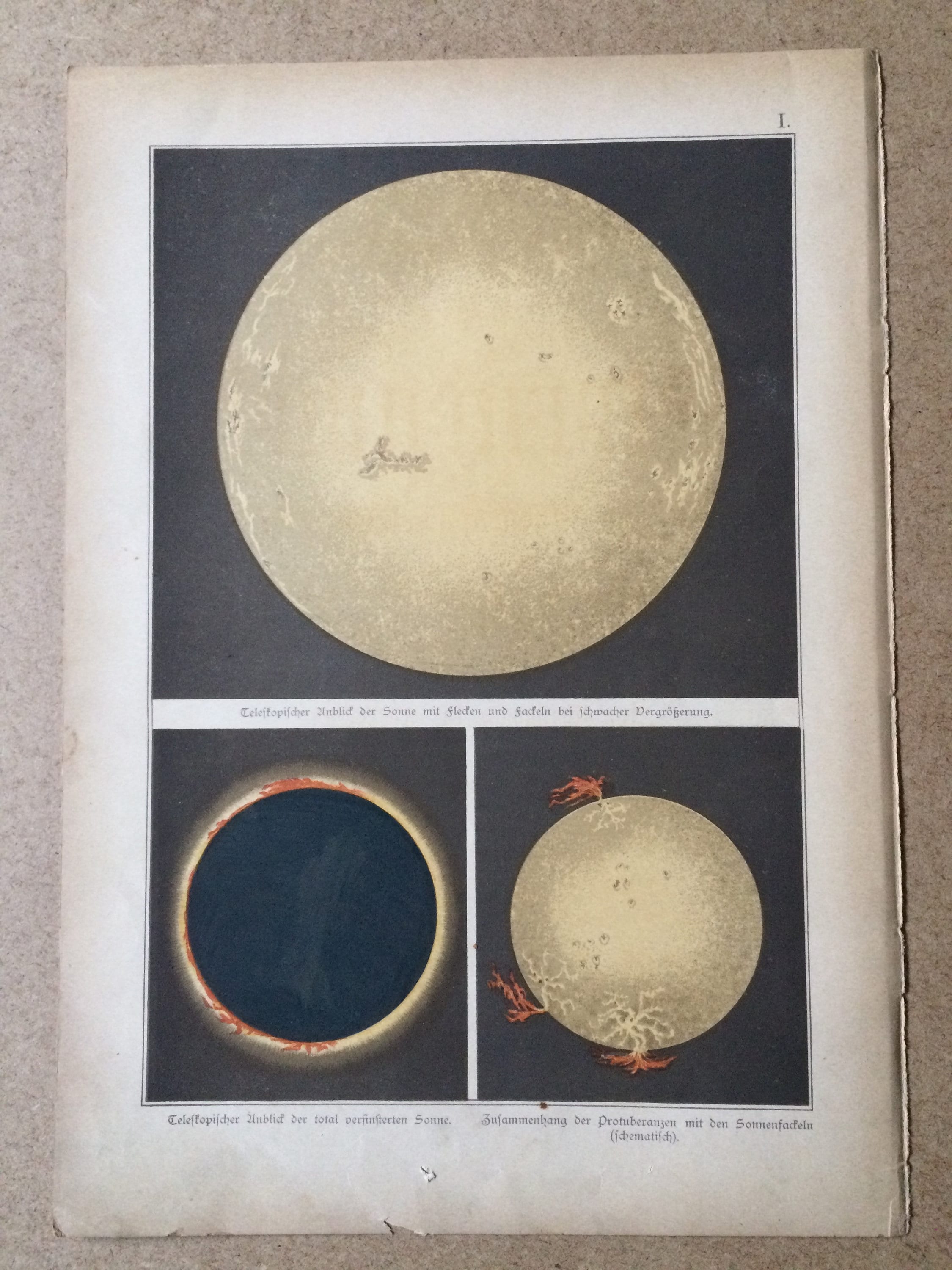 1888 Original Antique Lithograph - Sun Spots, Solar Eclipse, Sun ...
