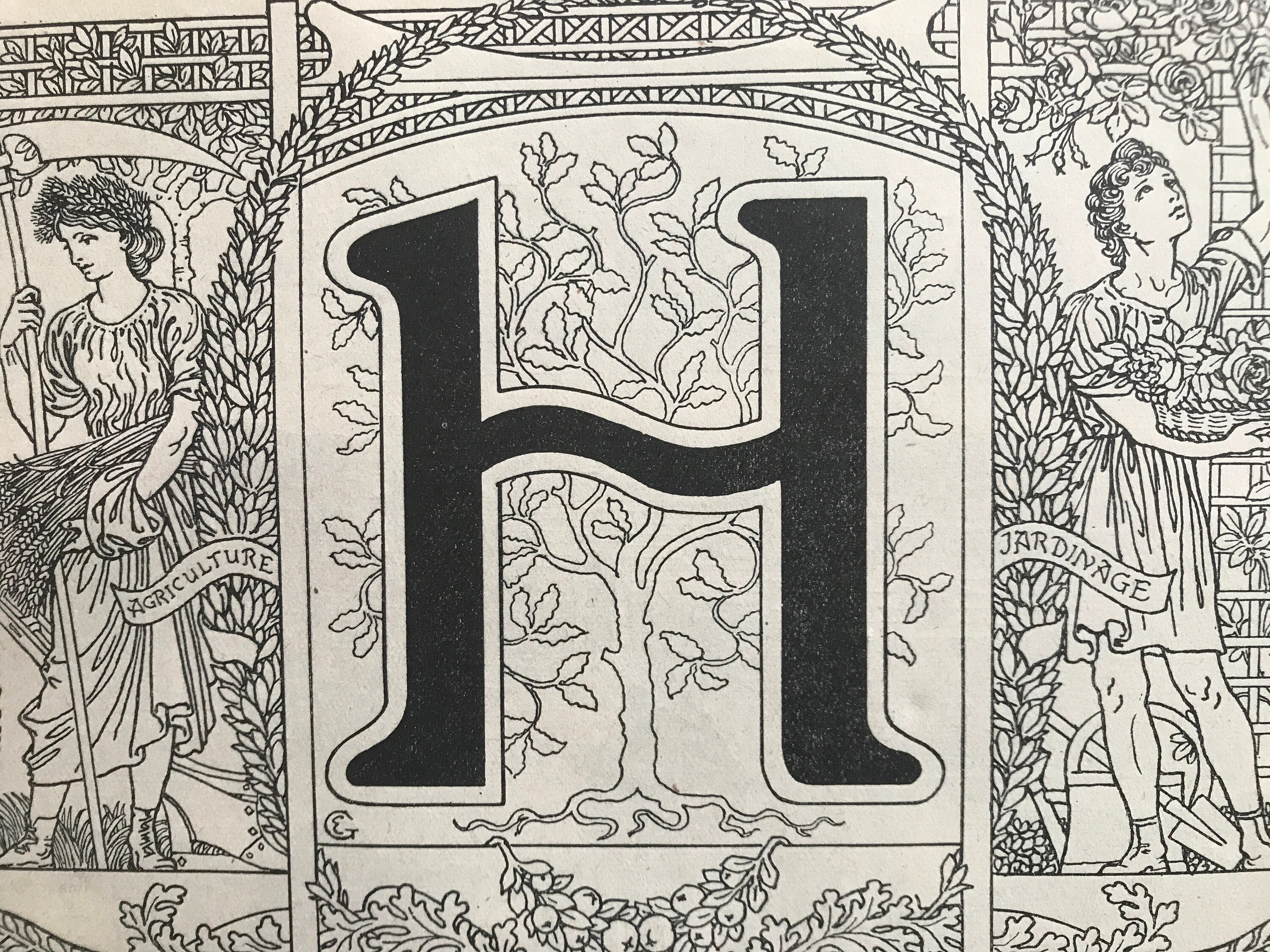 Decorative Letter H Colour
