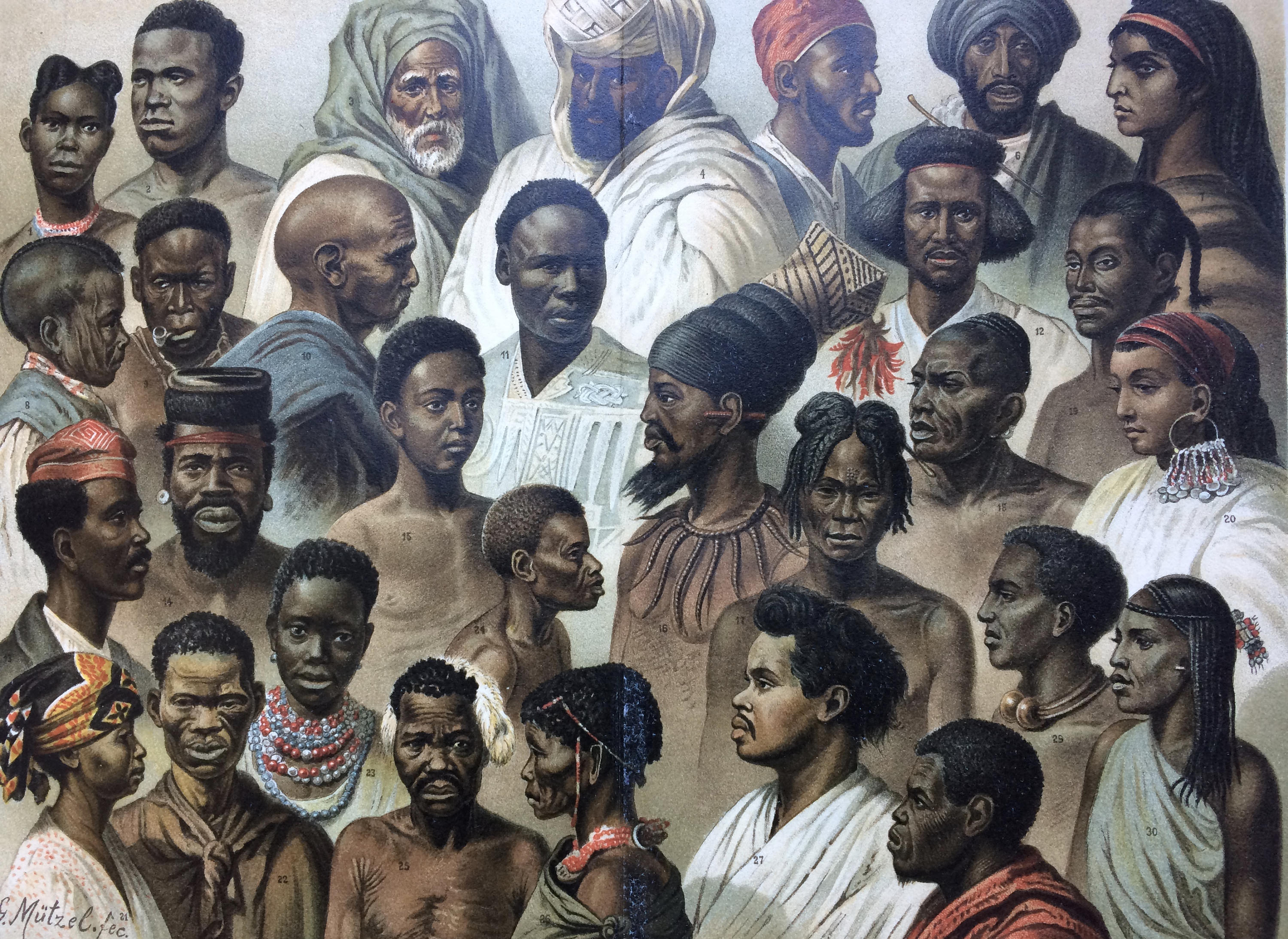 1904 African Races original antique print - 10 x 12 inches ...