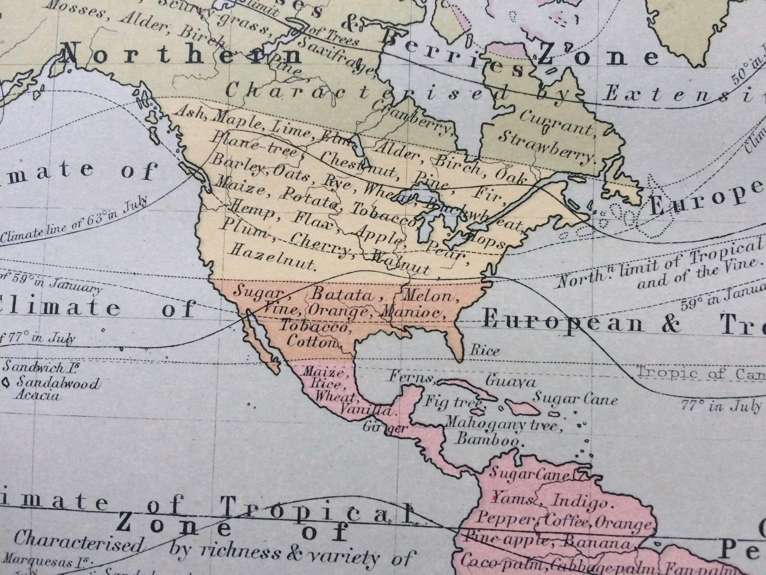 1873 Original Antique World Map showing the distribution of the most ...