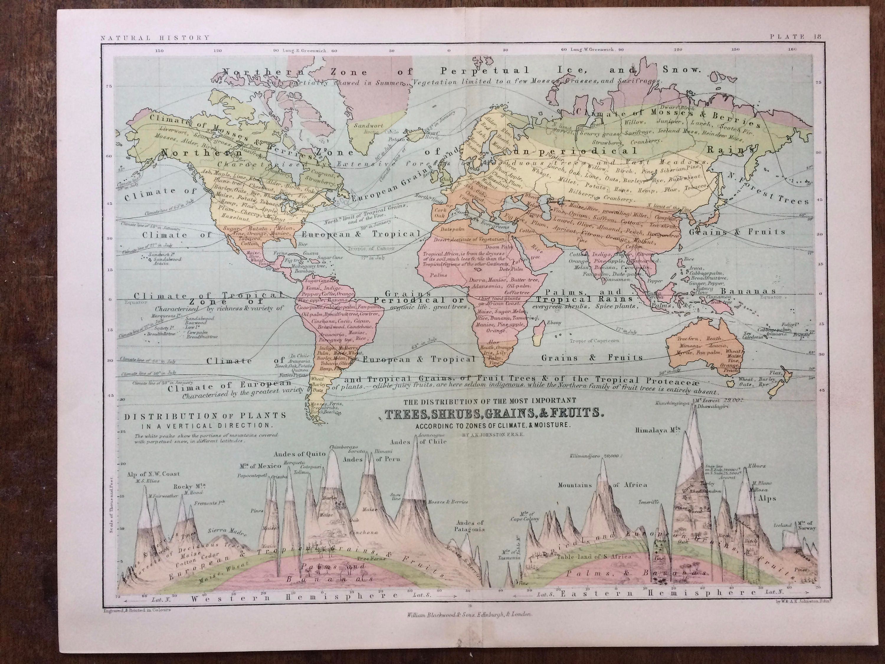 1873 Original Antique World Map showing the distribution of the most ...