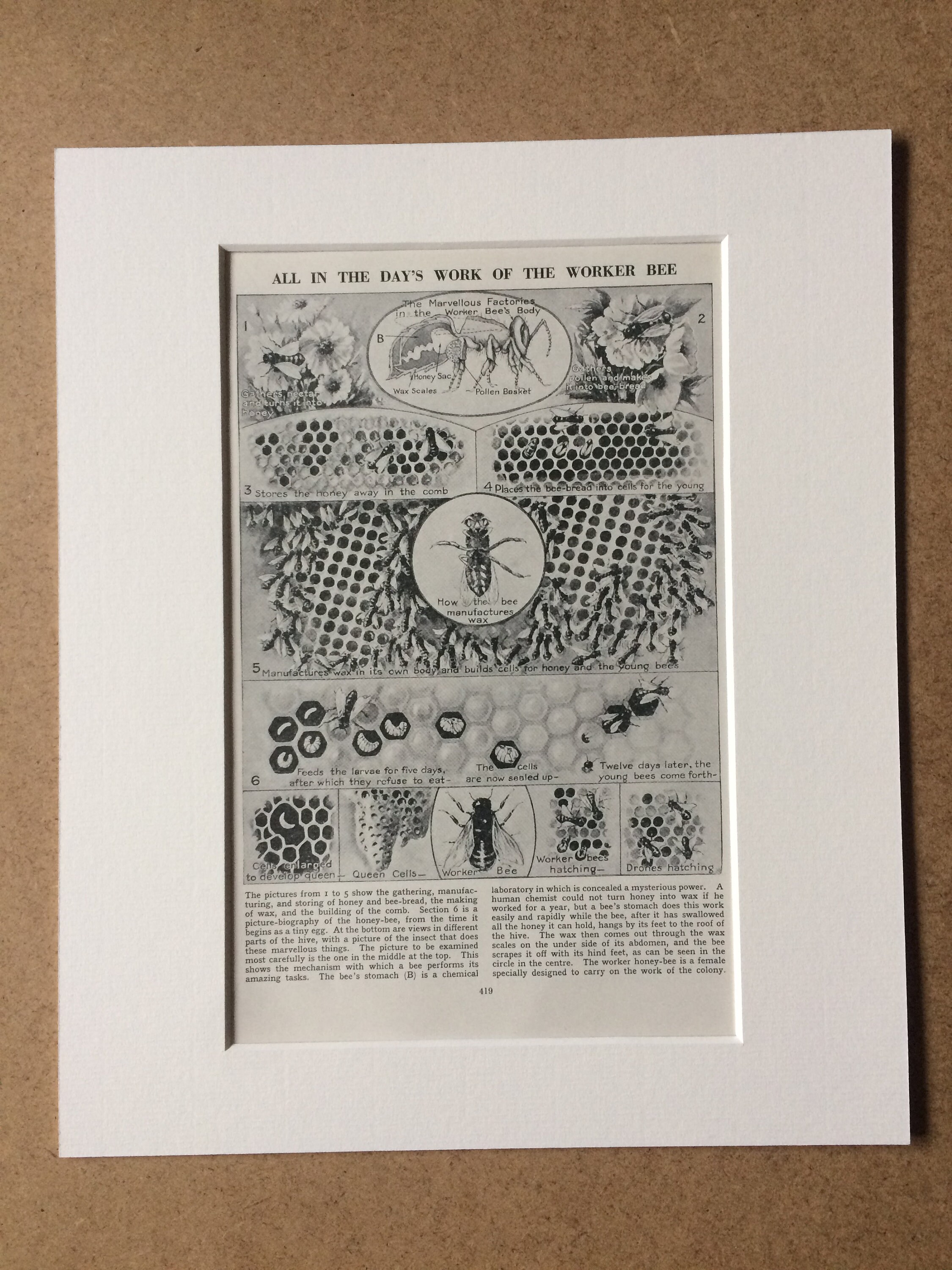 1940s All in the days work of the Worker Bee Original Vintage Print ...