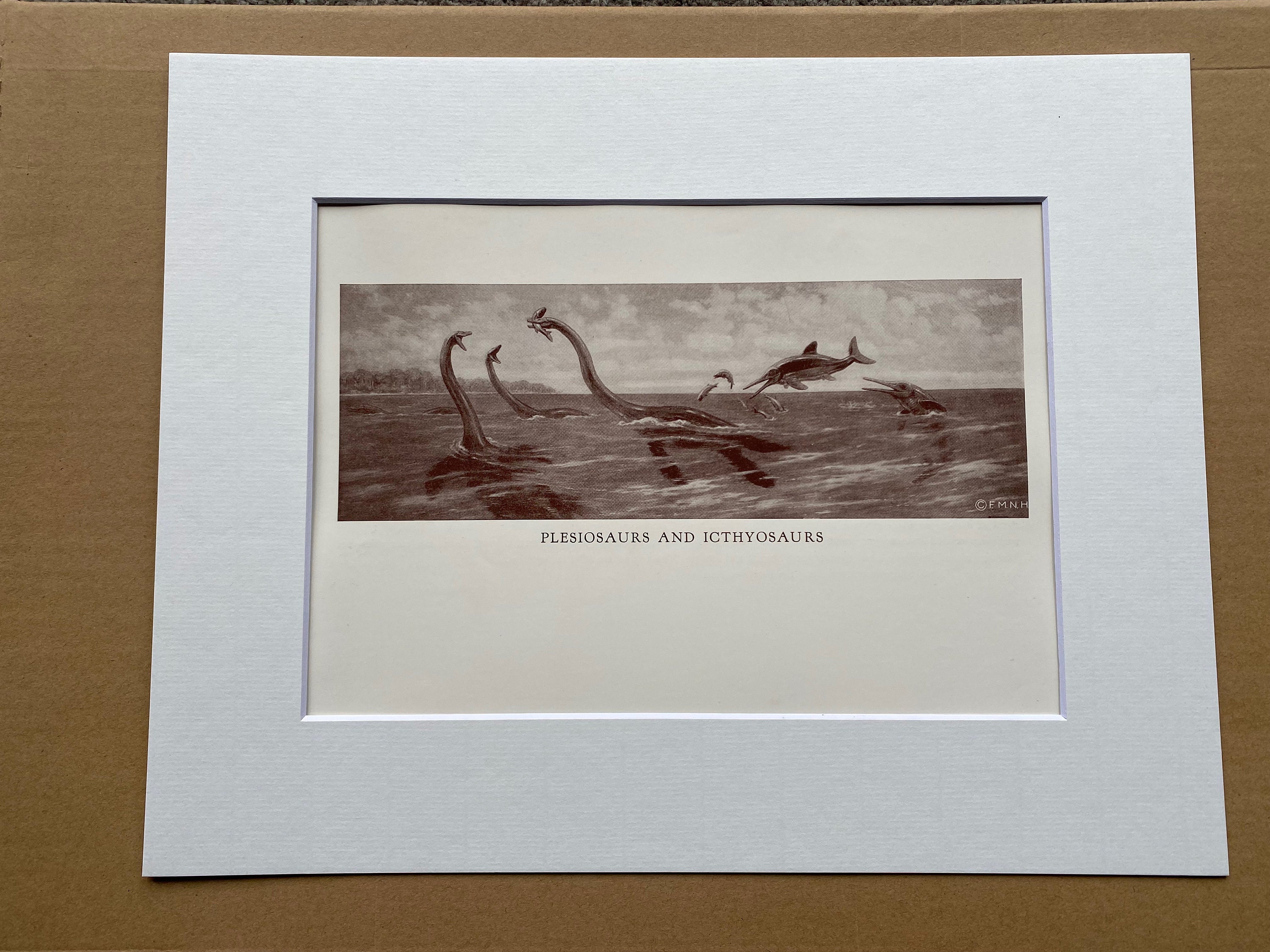 1935 Plesiosaurs and Ichthyosaurs Original Antique Print - Prehistoric ...