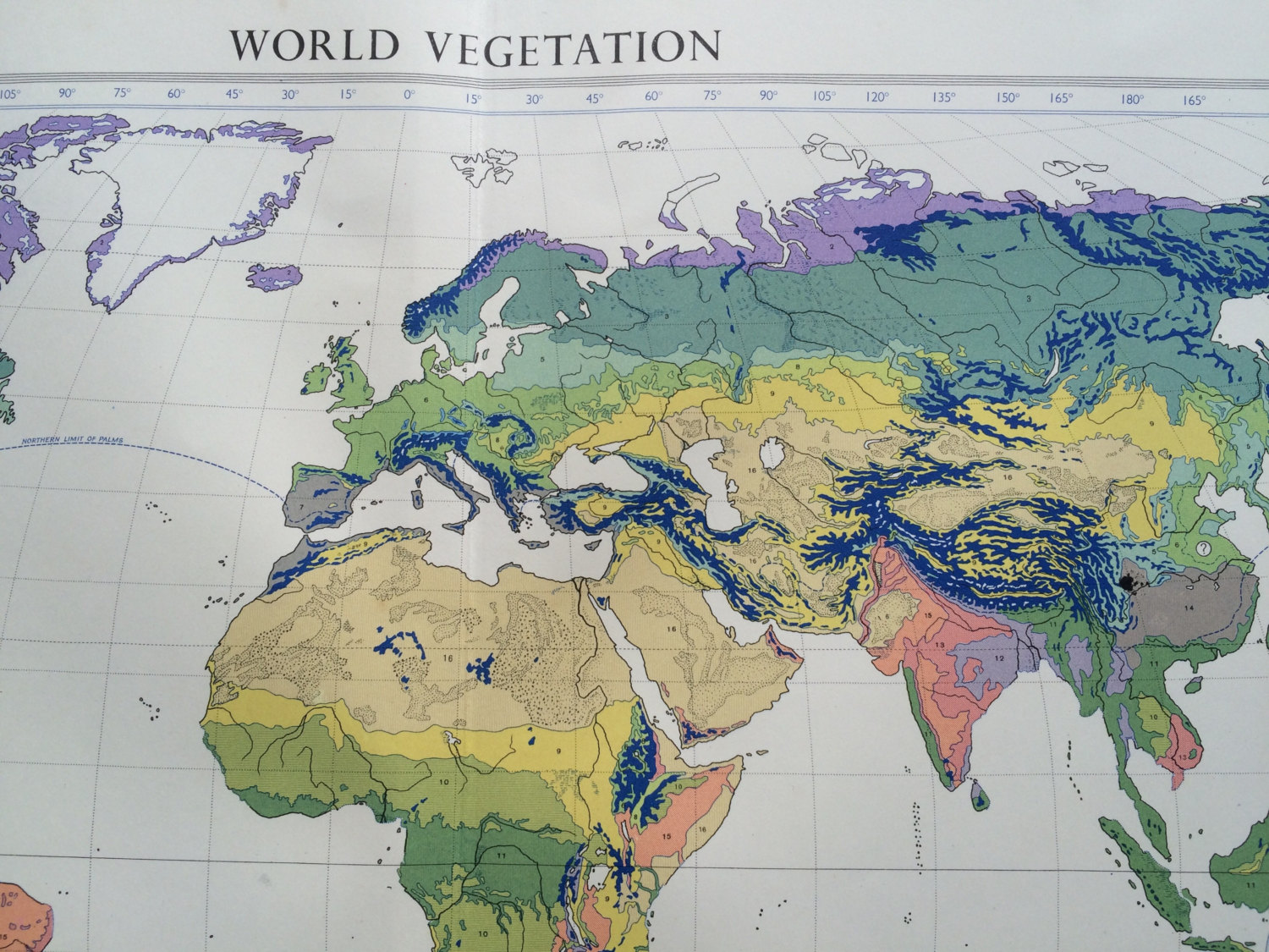 1958 Extra Large Original Antique World Map depicting World Vegetation ...