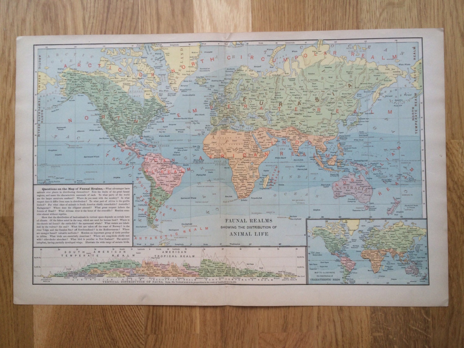 1887 FAUNAL REALMS Original Antique World Map, 11.75 x 18 inches ...