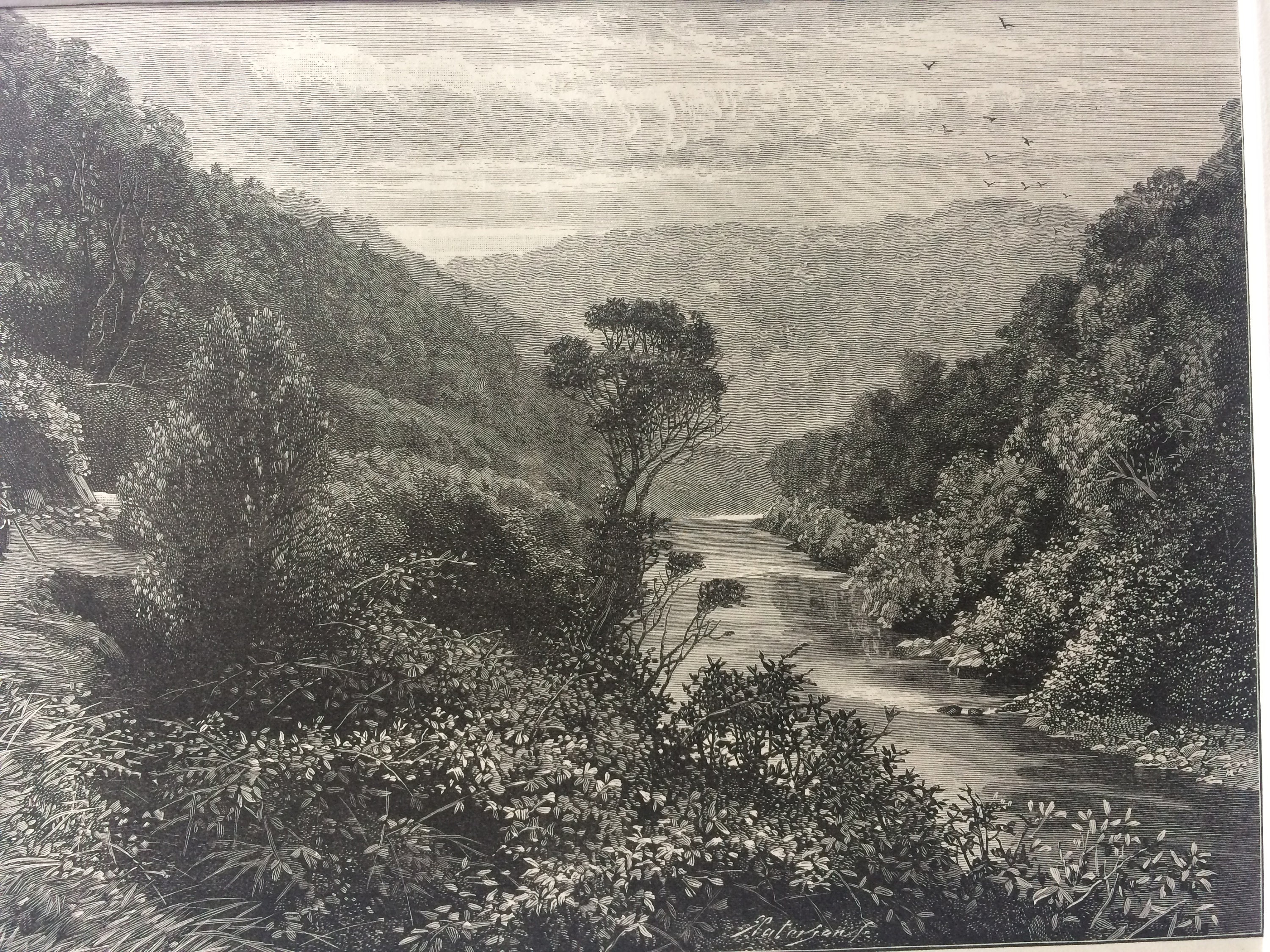 1890 Manawatu Gorge Original Antique Engraved Illustration - New ...