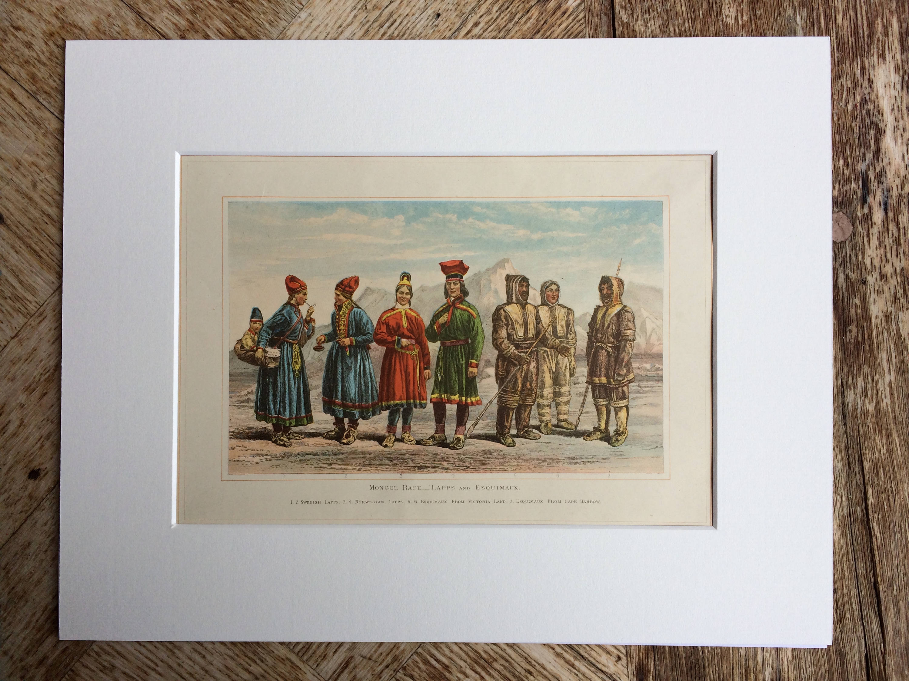 1882 Mongol Race (Lapps and Esquimaux) Original Antique Lithograph, 11 ...