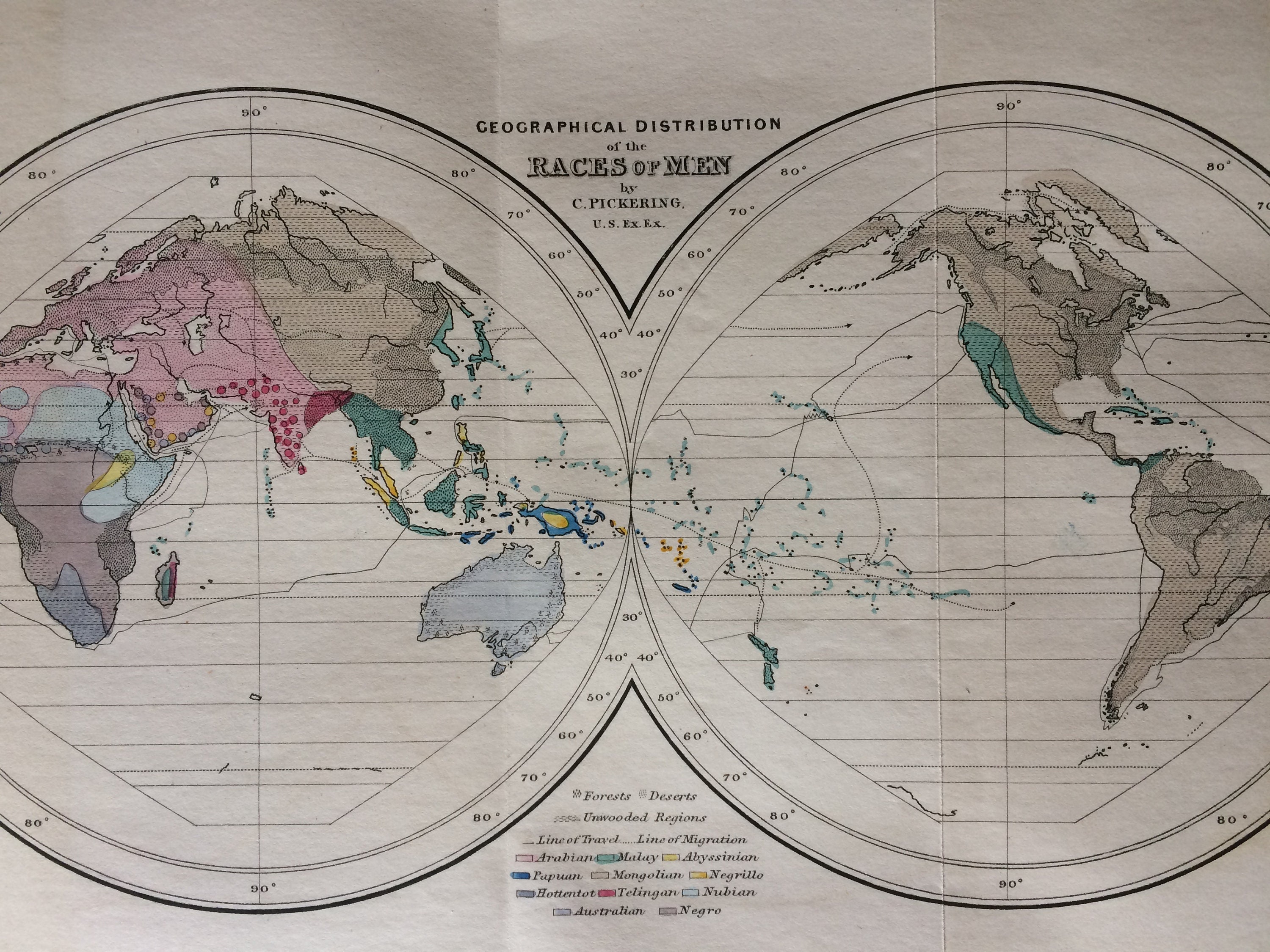 1854 Geographical Distribution of the Races of Men Original Antique ...