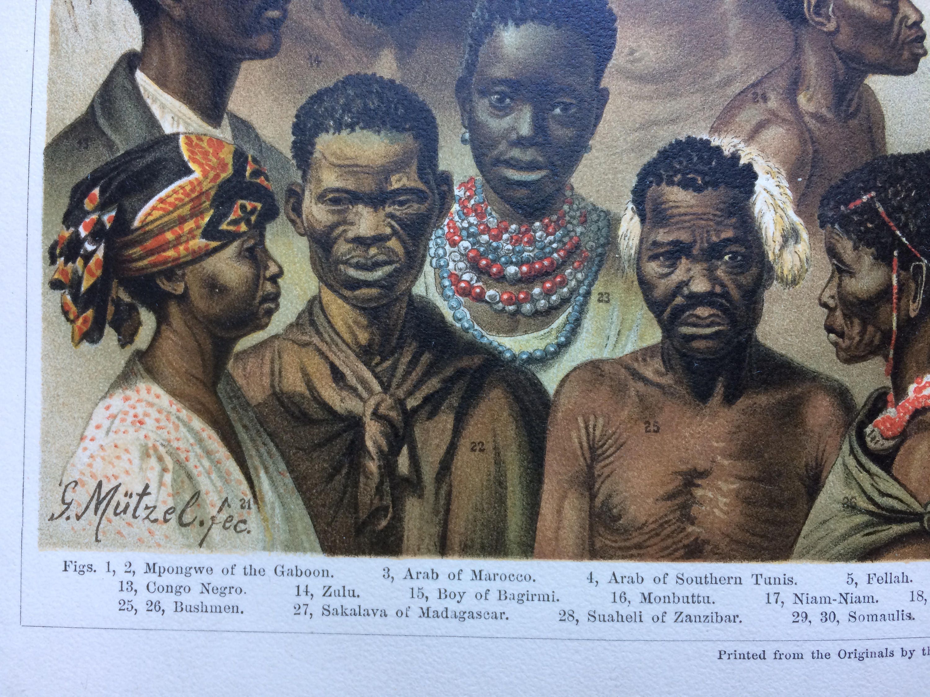 1904 African Races original antique print - 10 x 12 inches ...