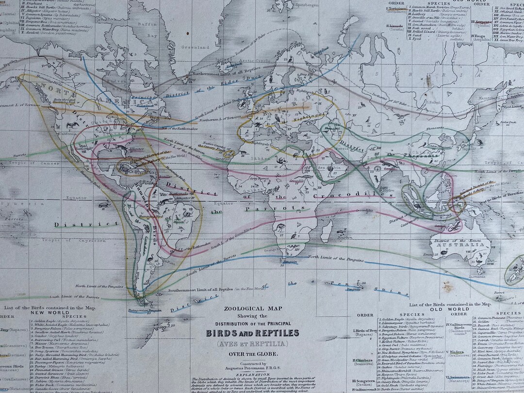 1853 Zoological Map Showing the Distribution of Principal Birds and ...