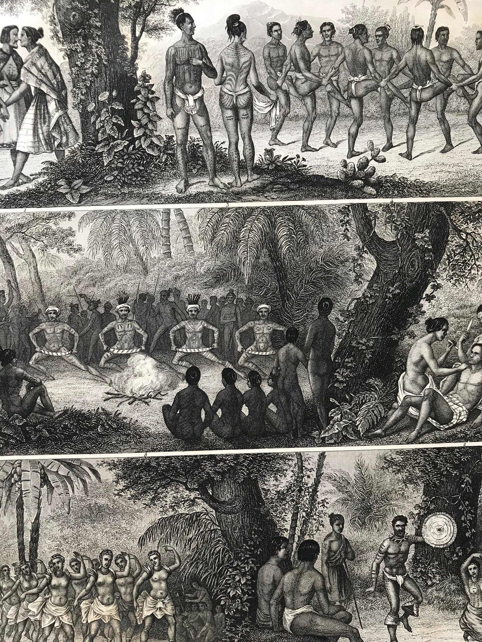 1849 Oceanic People Large Original Antique Engraving Races - Etsy