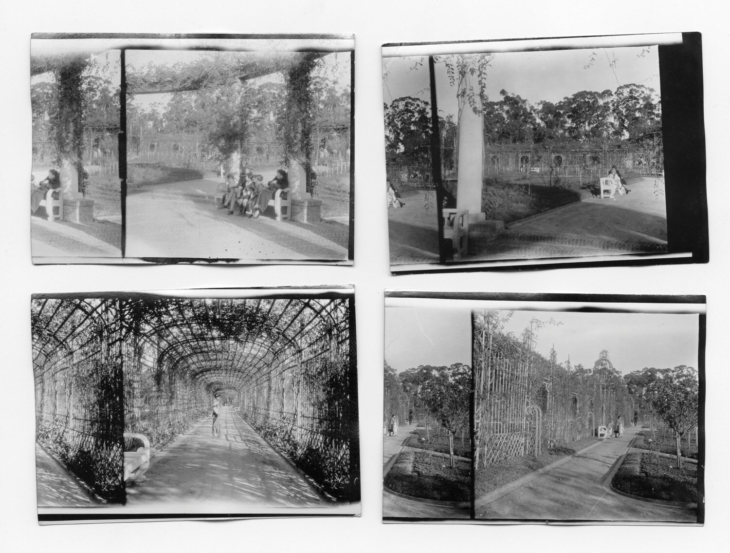 Parque Prado, Montevideo, Uruguay by J. Dearden Holmes, 1920s original ...