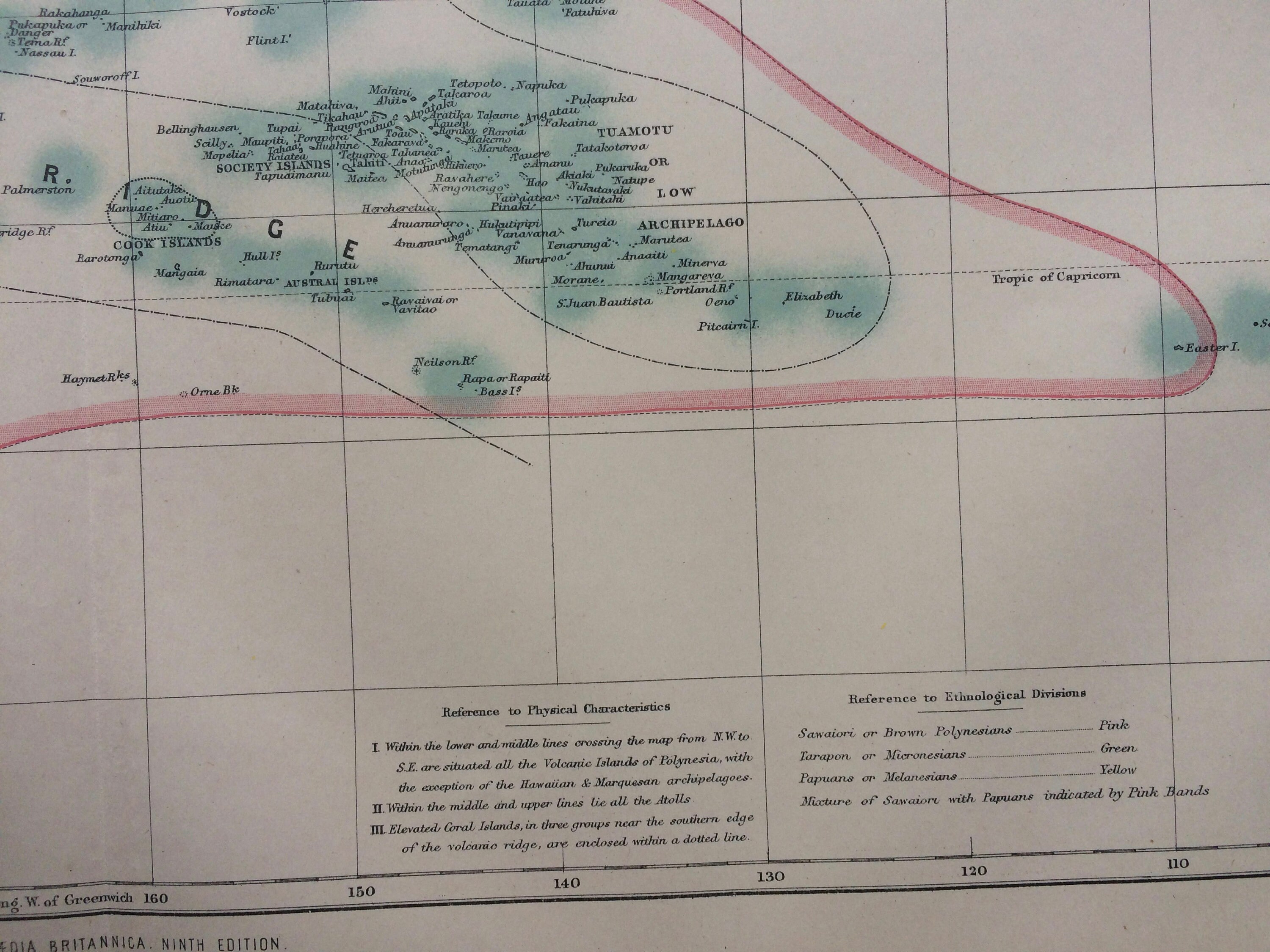 1875 POLYNESIA large original antique map with tree of Sawaiori ...
